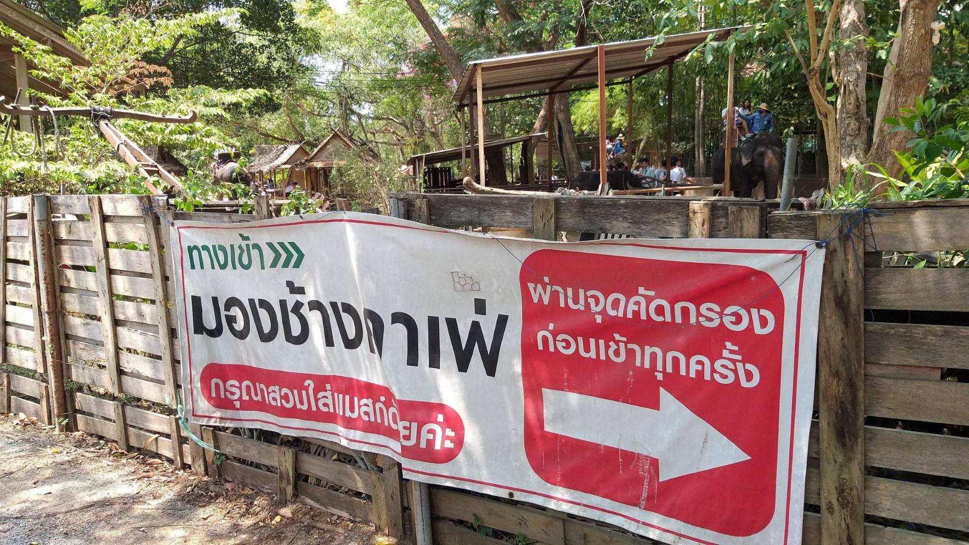 รีวิว หมู่บ้านช้างพัทยา - นั่งช้าง ดูโชว์ ชมสัตว์