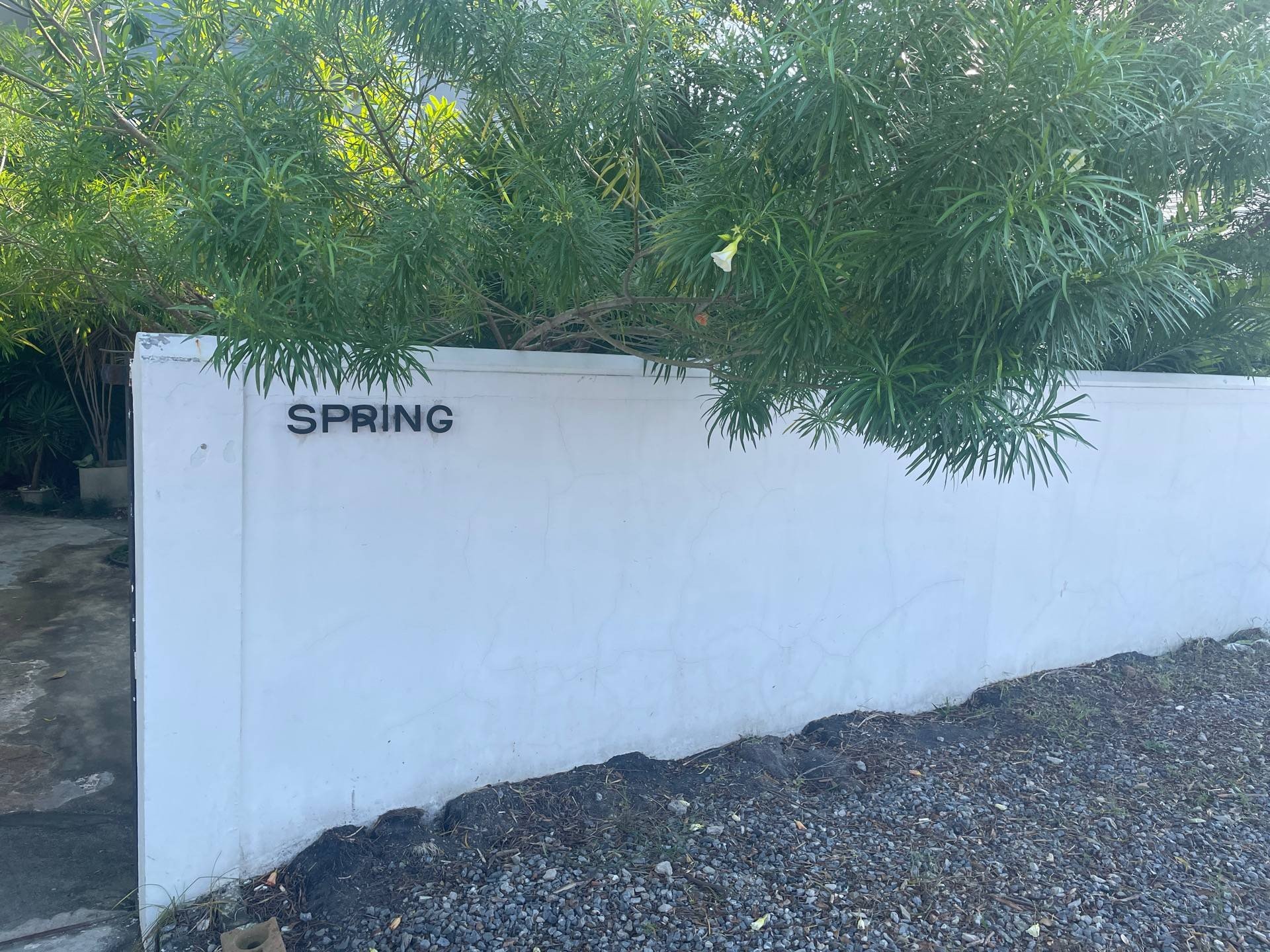 รีวิว Spring Bakehouse - บังเอิญร้านเปิด วันจันทร์