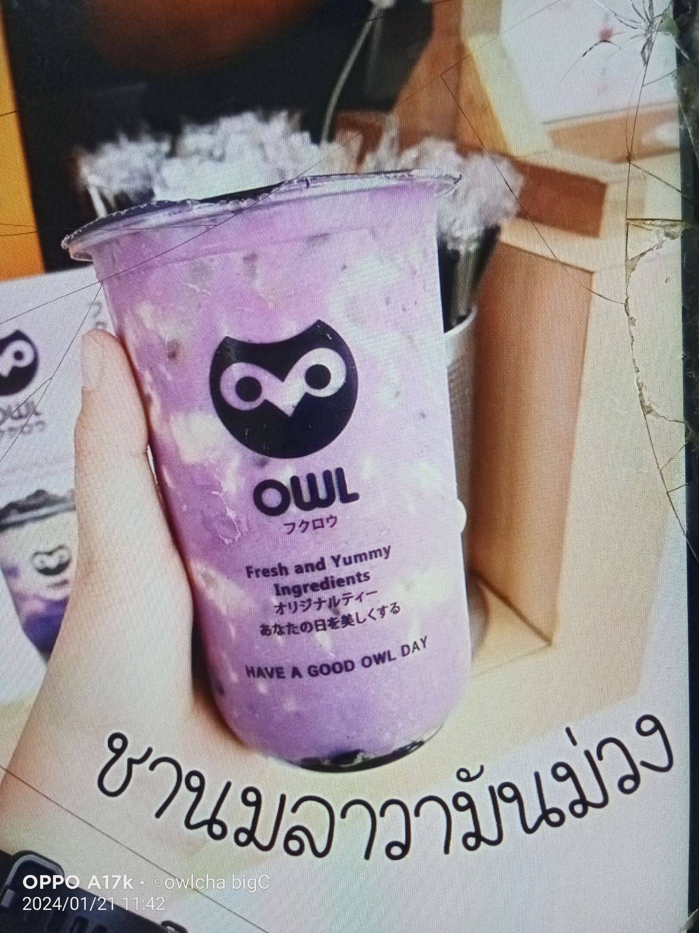ชานกฮูก Owl cha Big-c บิ๊กซี สุไหงโก-ลก - สั่งอาหารเดลิเวอรี | Wongnai ...