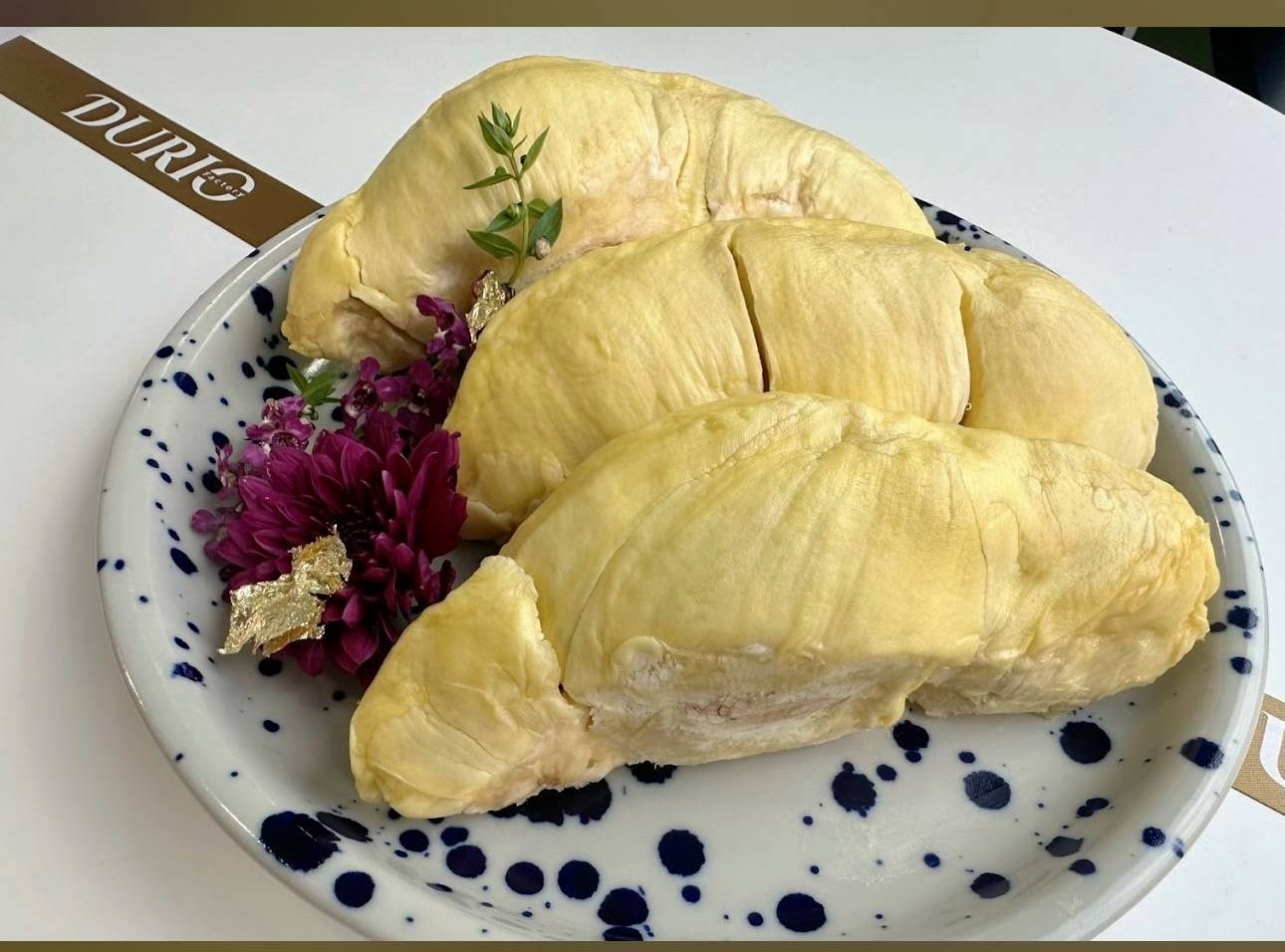 ร้าน Durio Factory | รีวิวร้านอาหาร