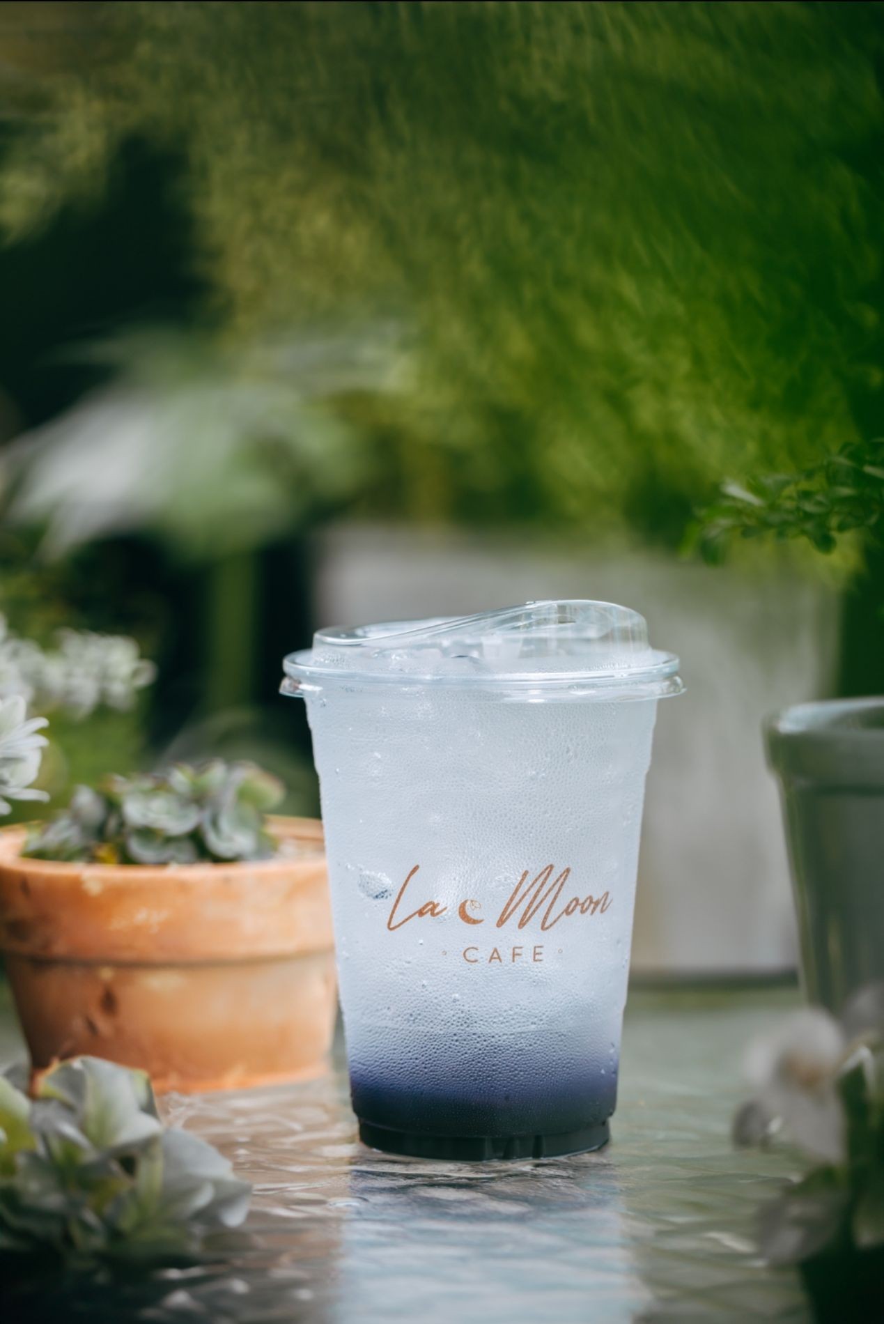 ร้าน La Moon Cafe | รีวิวร้านอาหาร