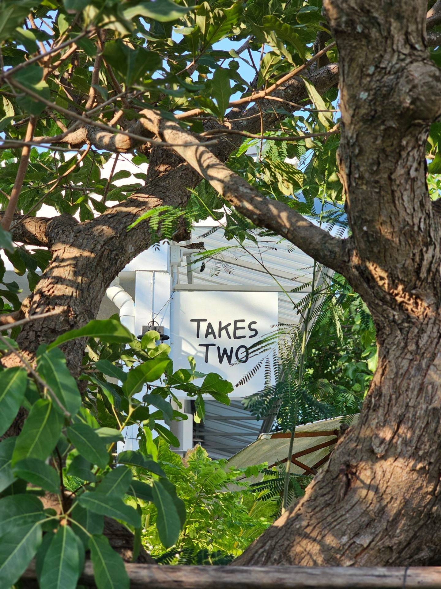 รีวิว Takes Two cafe ปรานราการ์เด้น - Takes two cafe คาเฟ่ลับ ณ กระทุ่มแบน