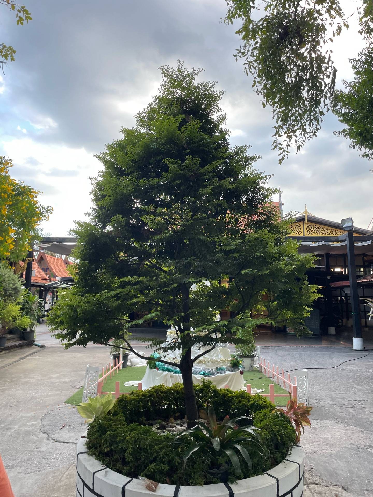 รูป แสนยอด WOK พระราม 3