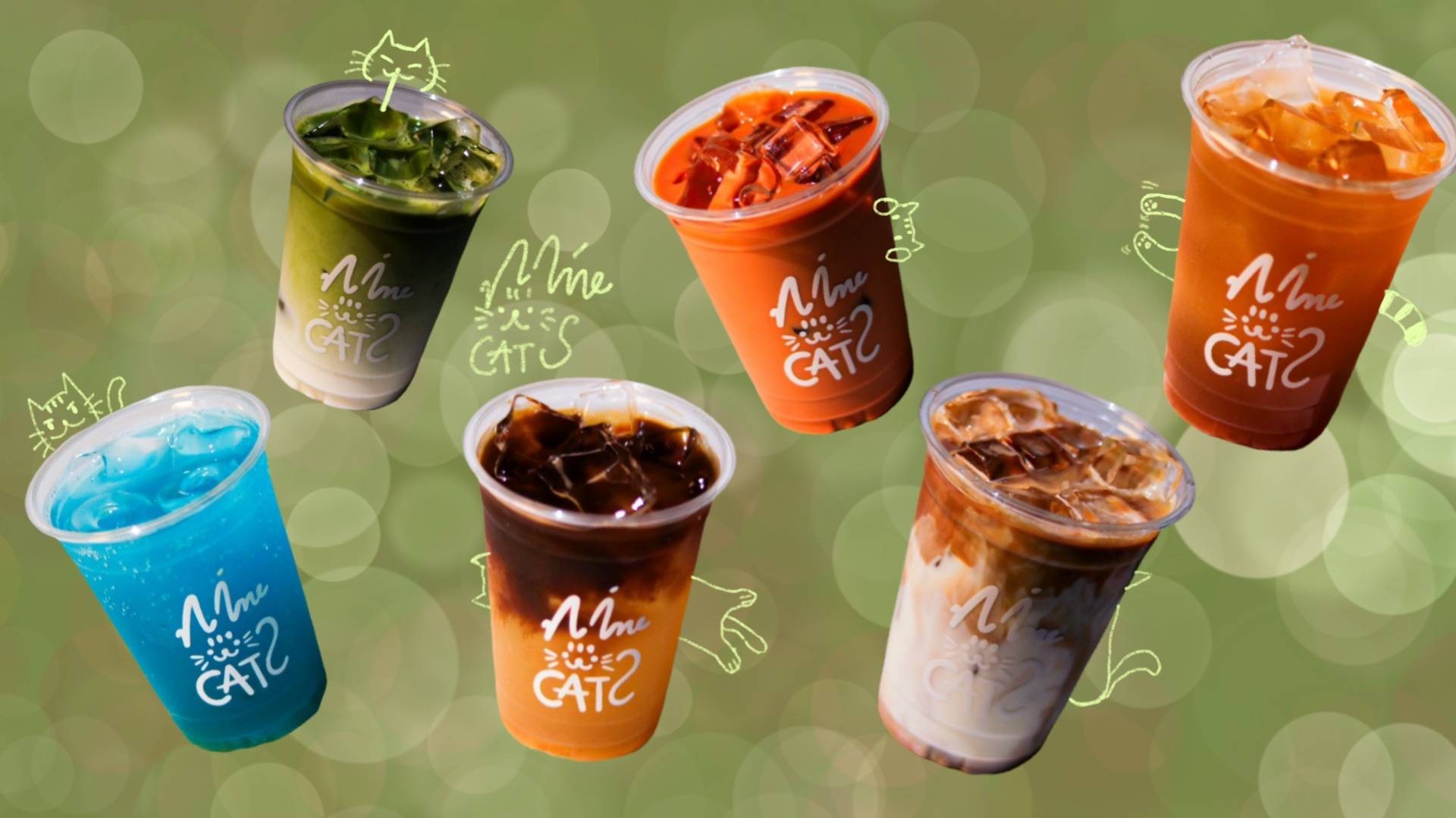 Nine Cats (Coffee & Tea) - สั่งอาหารเดลิเวอรี | Wongnai x LINE MAN