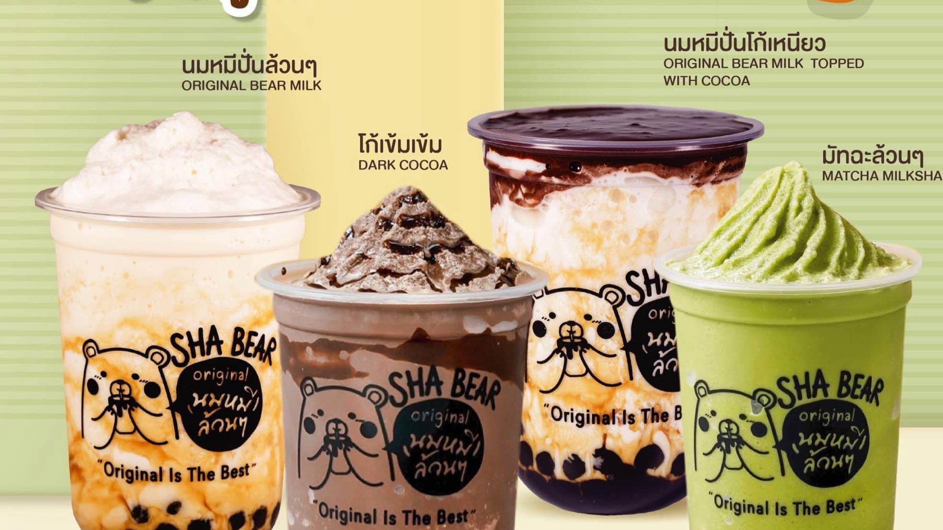 ร้าน Shabear ชาแบร์ นมหมีปั่นล้วนๆ ( ตลาดดาว-เฉวง ) | รีวิวร้านอาหาร