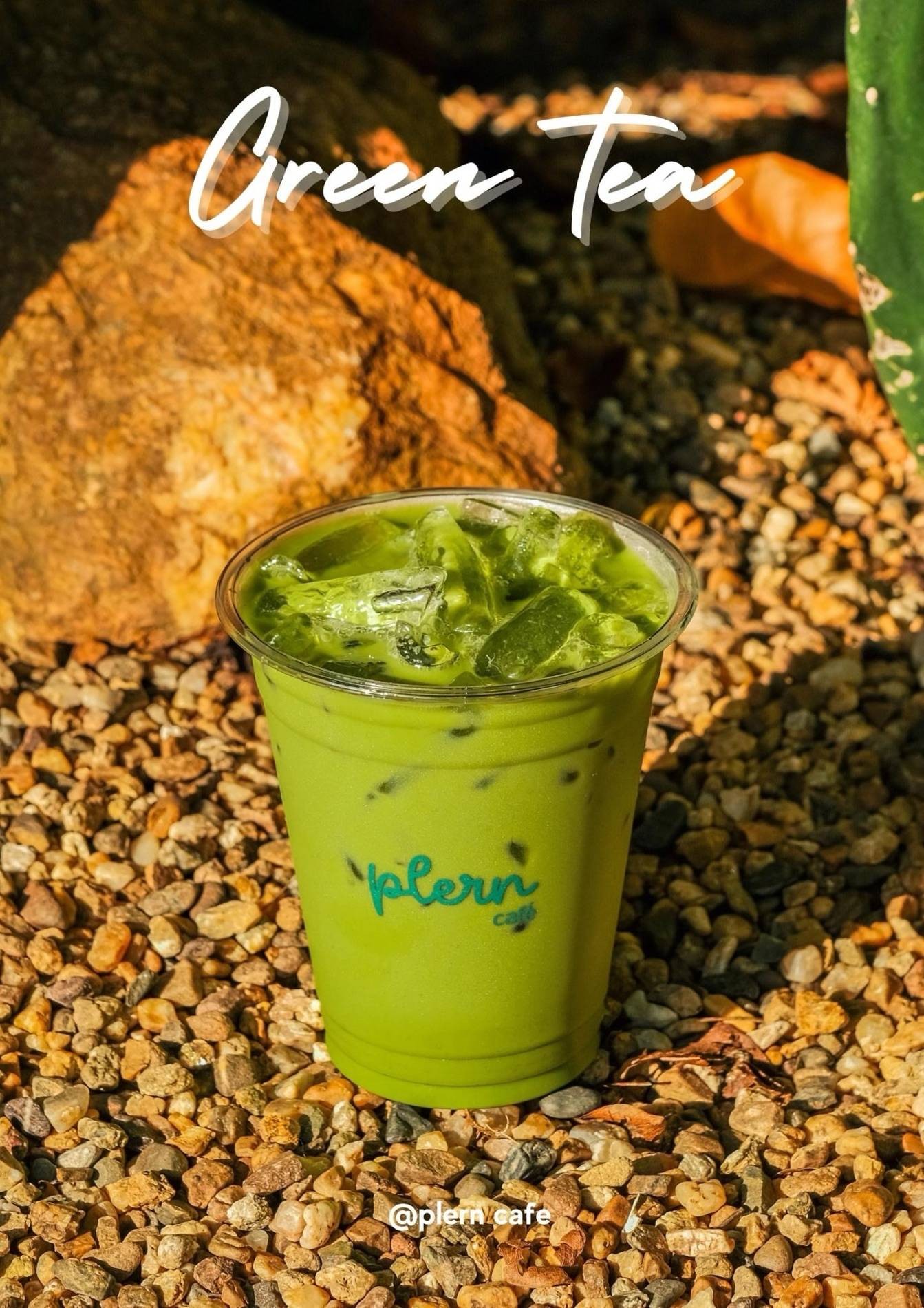 ร้าน Plern Café | รีวิวร้านอาหาร