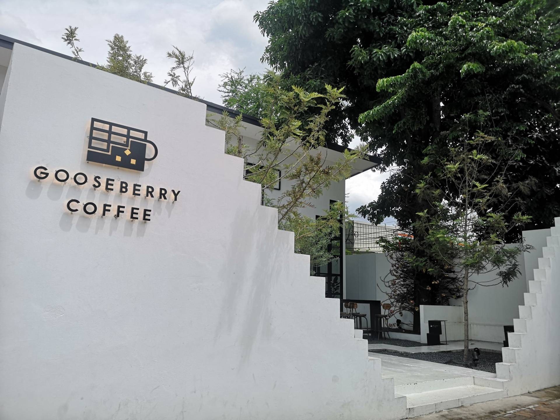 รูป GOOSEBERRY COFFEE BEARING