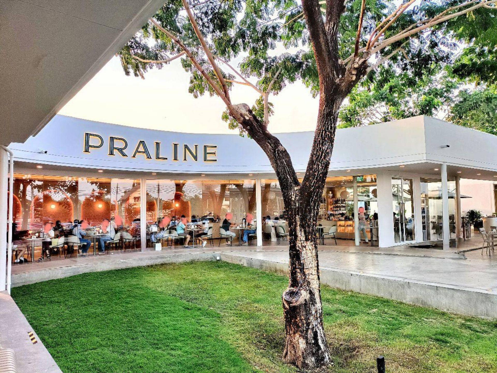 รีวิว Praline Dining Room (Ratchapruke) - #Wongnai2024🍃🥐 ร้านสวย บรรยากาศดี อาหารอร่อย และ Pet ...