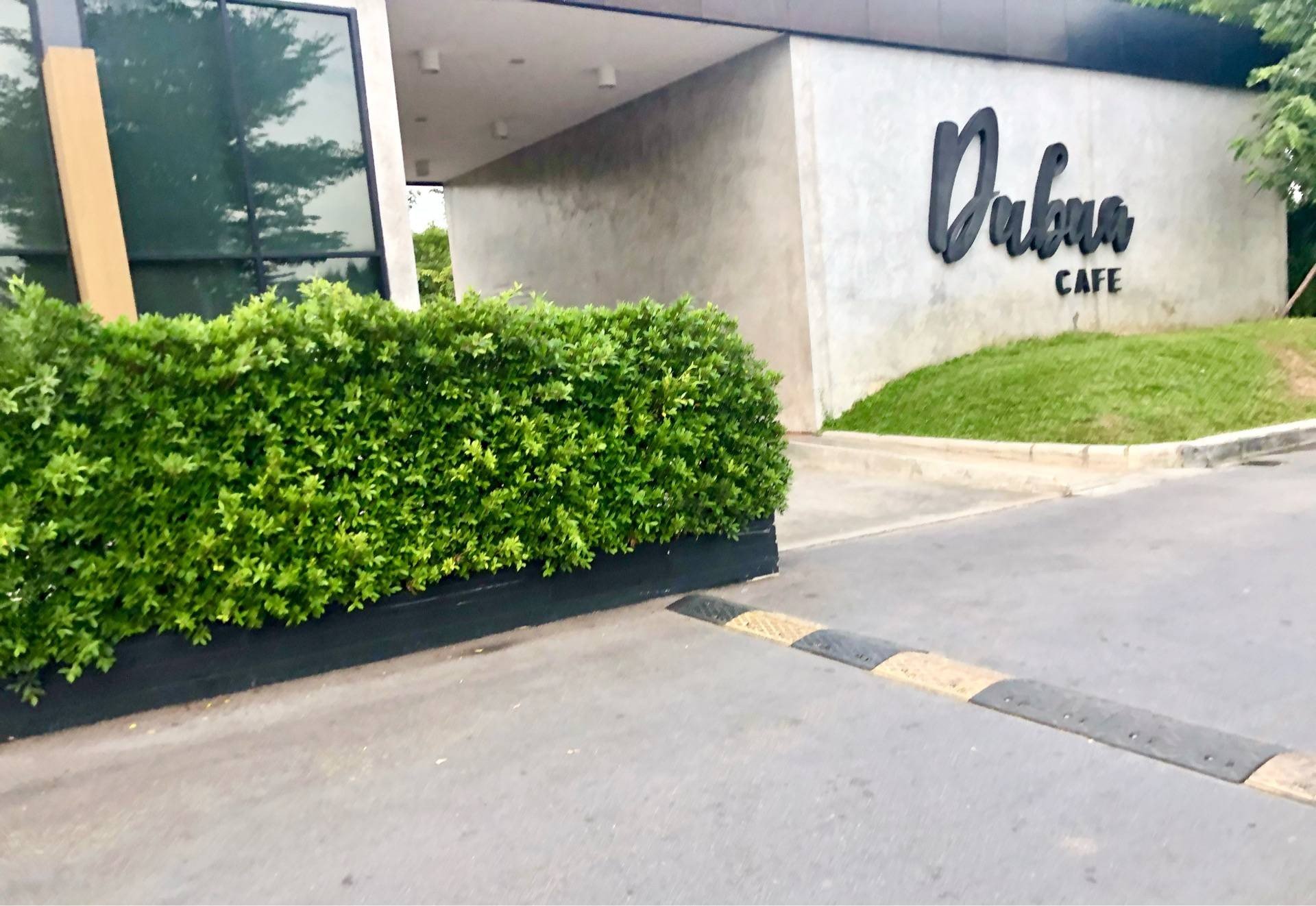 รีวิว DuBua - “ DuBua (ดูบัวคาเฟ่) ” café ย่านนครปฐม ที่มีกิจกรรมาให้ทำ ...