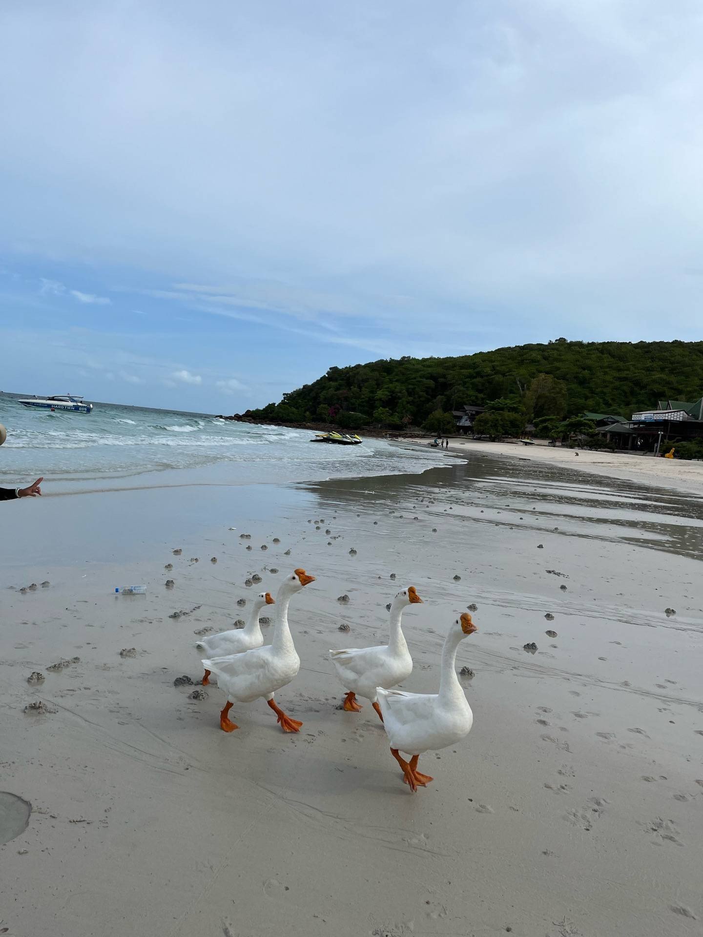 รูป หาดเทียน เกาะล้าน