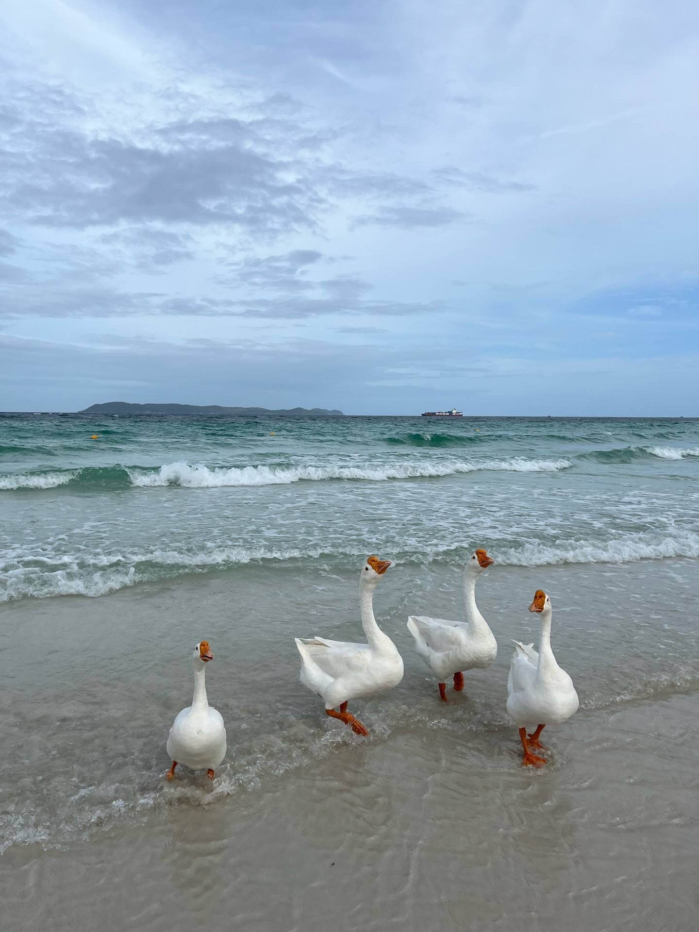 รูป หาดเทียน เกาะล้าน