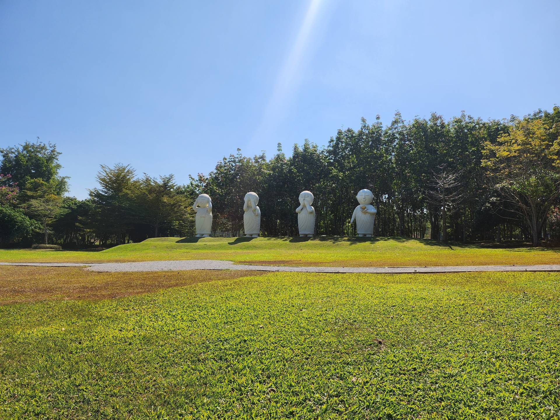 รูป ไร่เชิญตะวัน