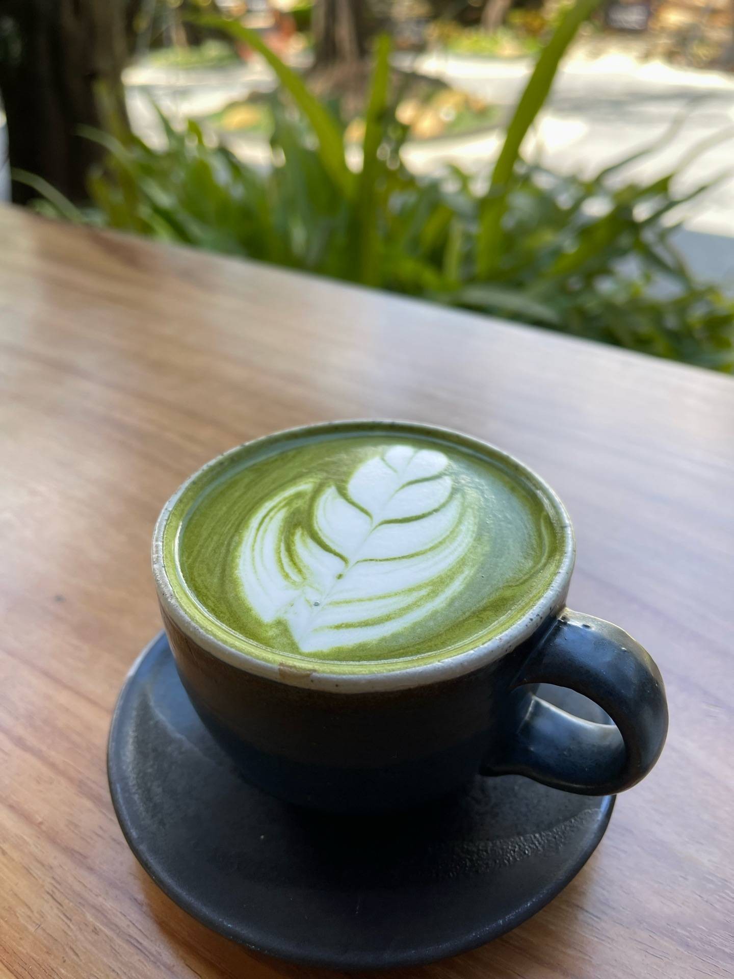รีวิว Wanderwoods - - ร้านกาแฟท่ามกลางสวนป่ามหัศจรรย์ ไม่คาดหวังจะเจอ ...