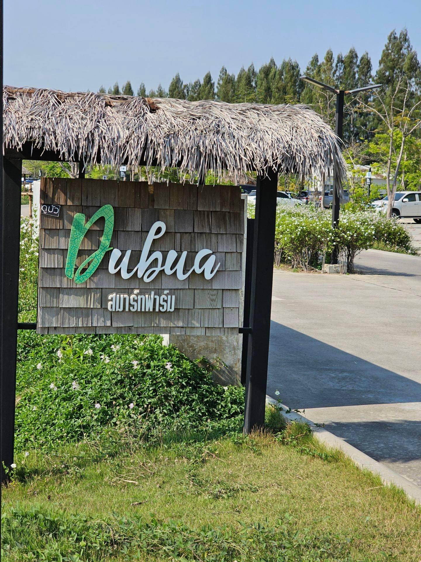 รีวิว DuBua - Dubua สมาร์ทฟาร์ม