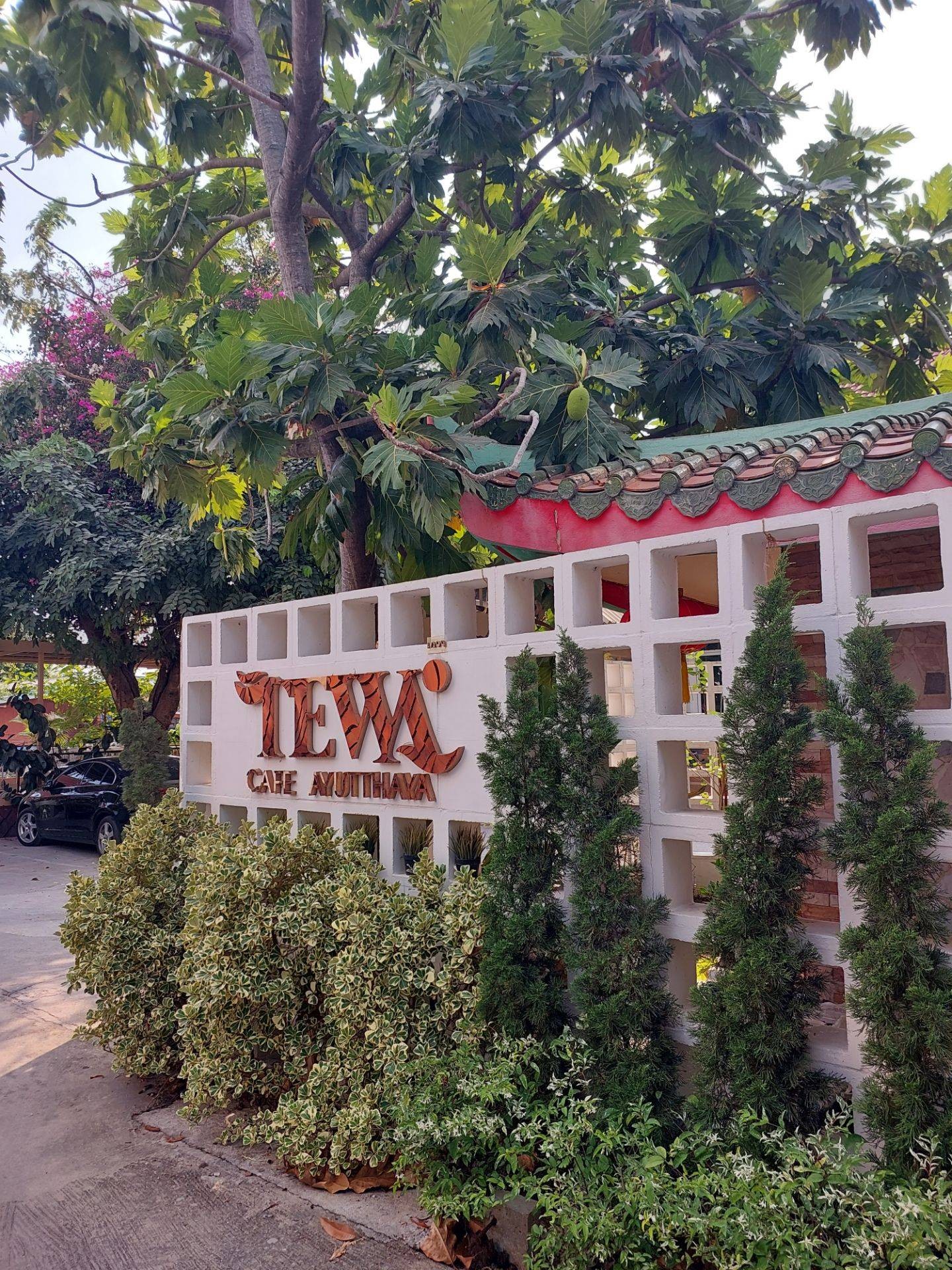 รีวิว Tewa Cafe Ayutthaya - คาเฟ่ริมแม่น้ำป่าสักที่มีมุมถ่ายรูปสวยและเยอะมาก