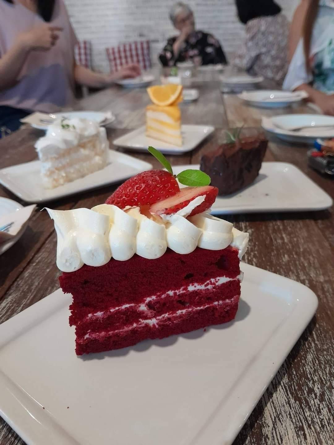 รีวิว Wood Cafe ลาดพร้าววังหิน 48 - Fairy Tale Cafe Themed