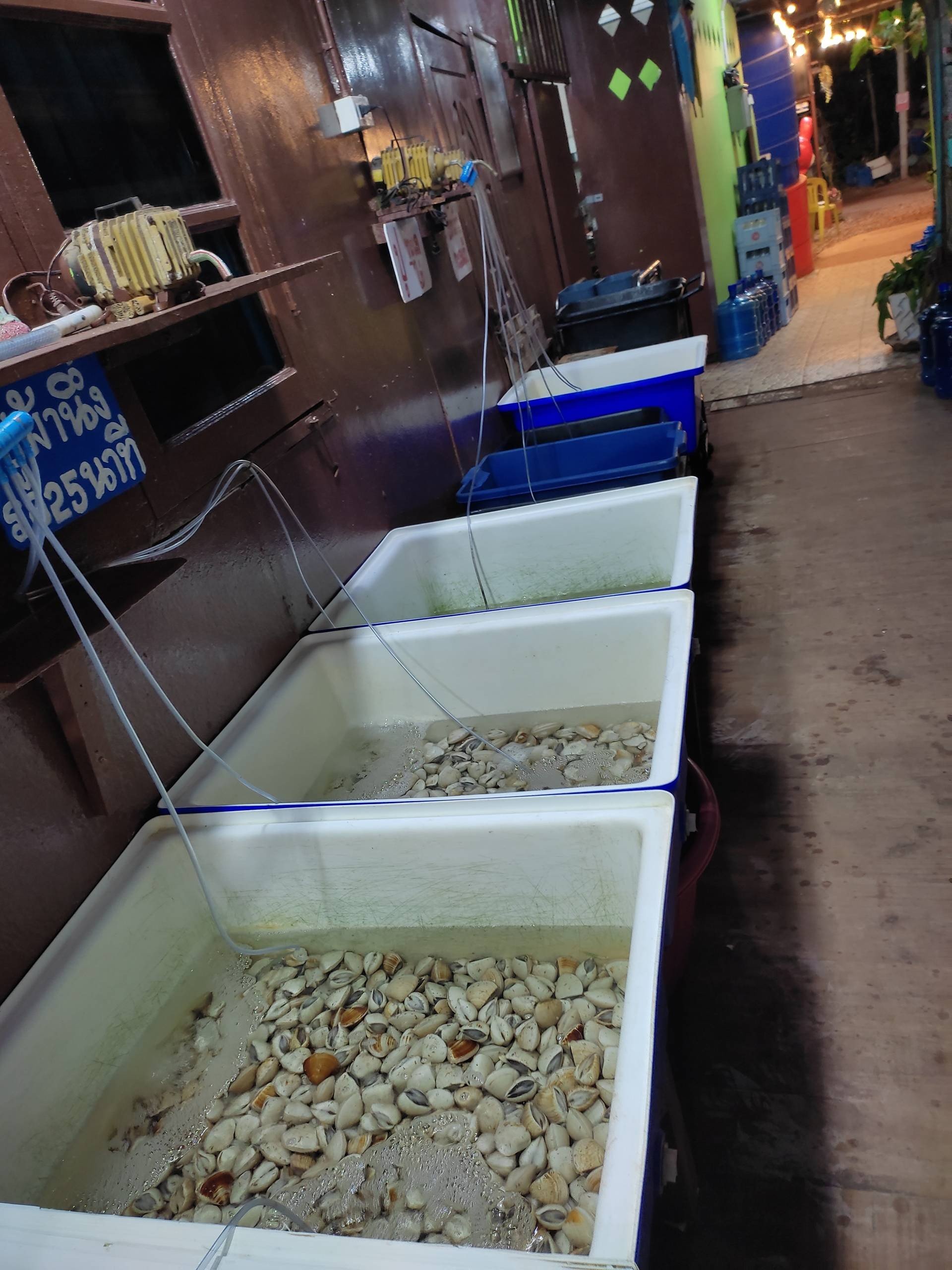 รูป บ้านครัวประมง