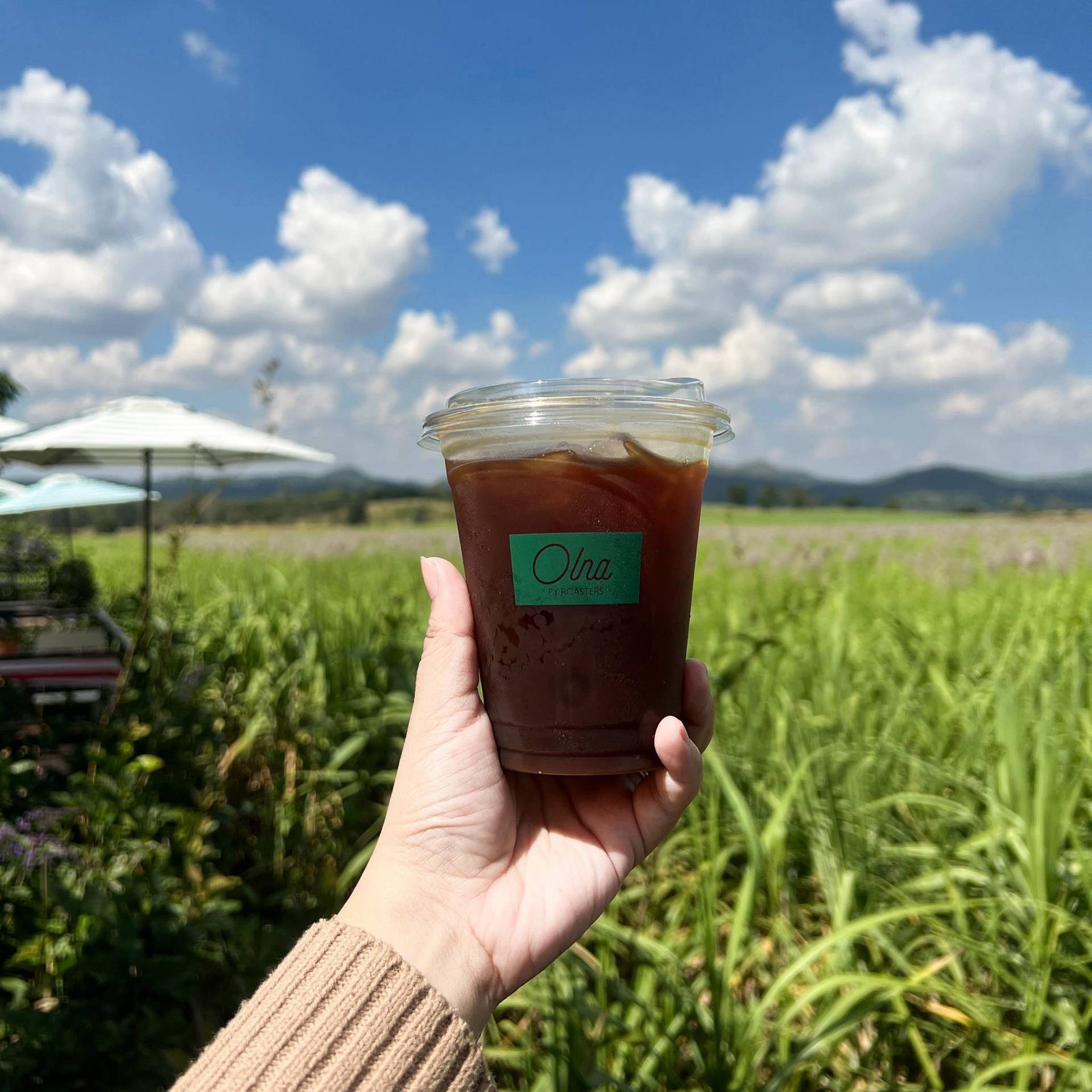 รีวิว Olna X PY ROASTERS - OLNA x PY Roasters