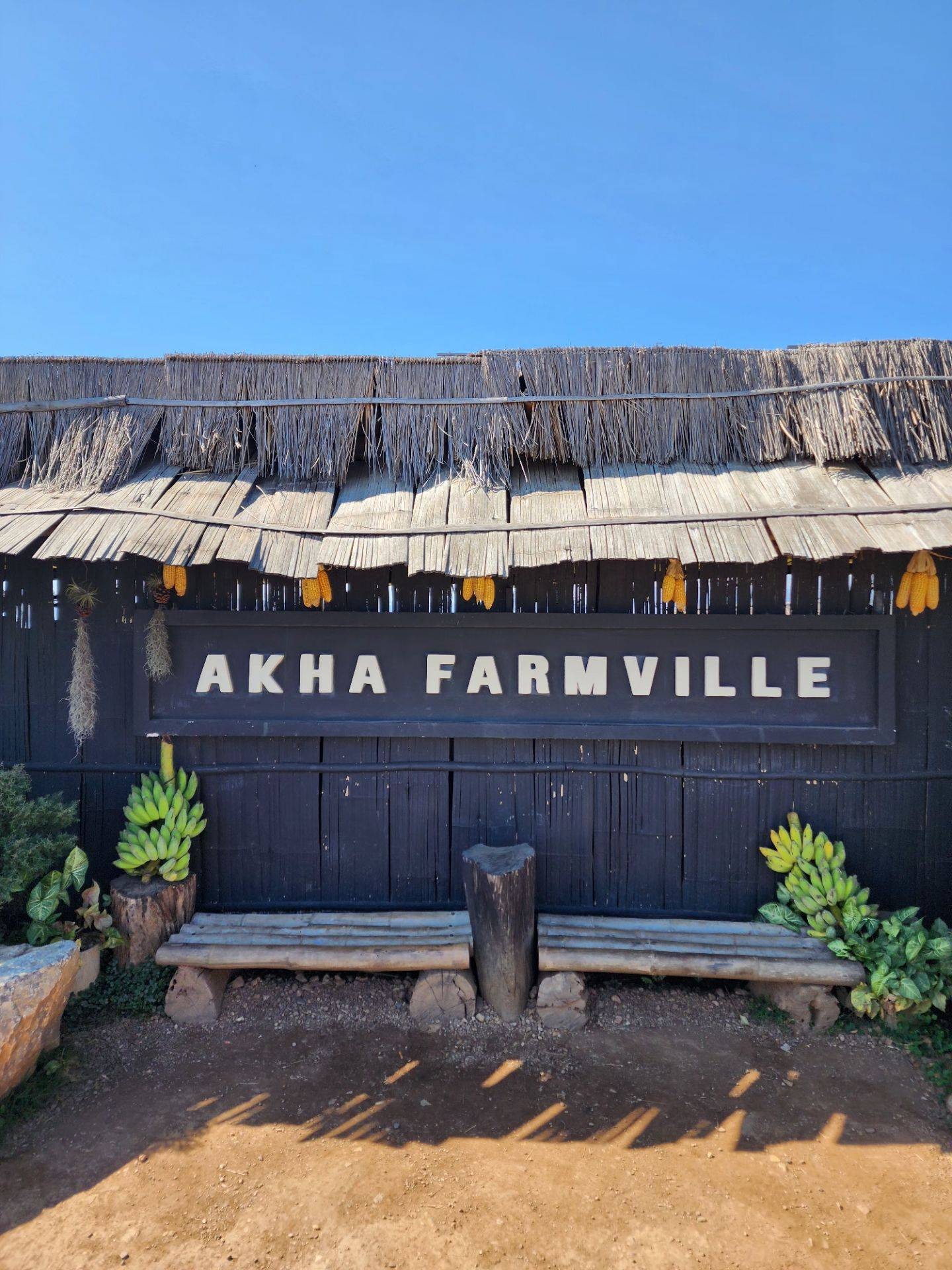 รีวิว Akha Farmville - คาเฟ่และเหล่าฝูงแกะบนดอยช้าง