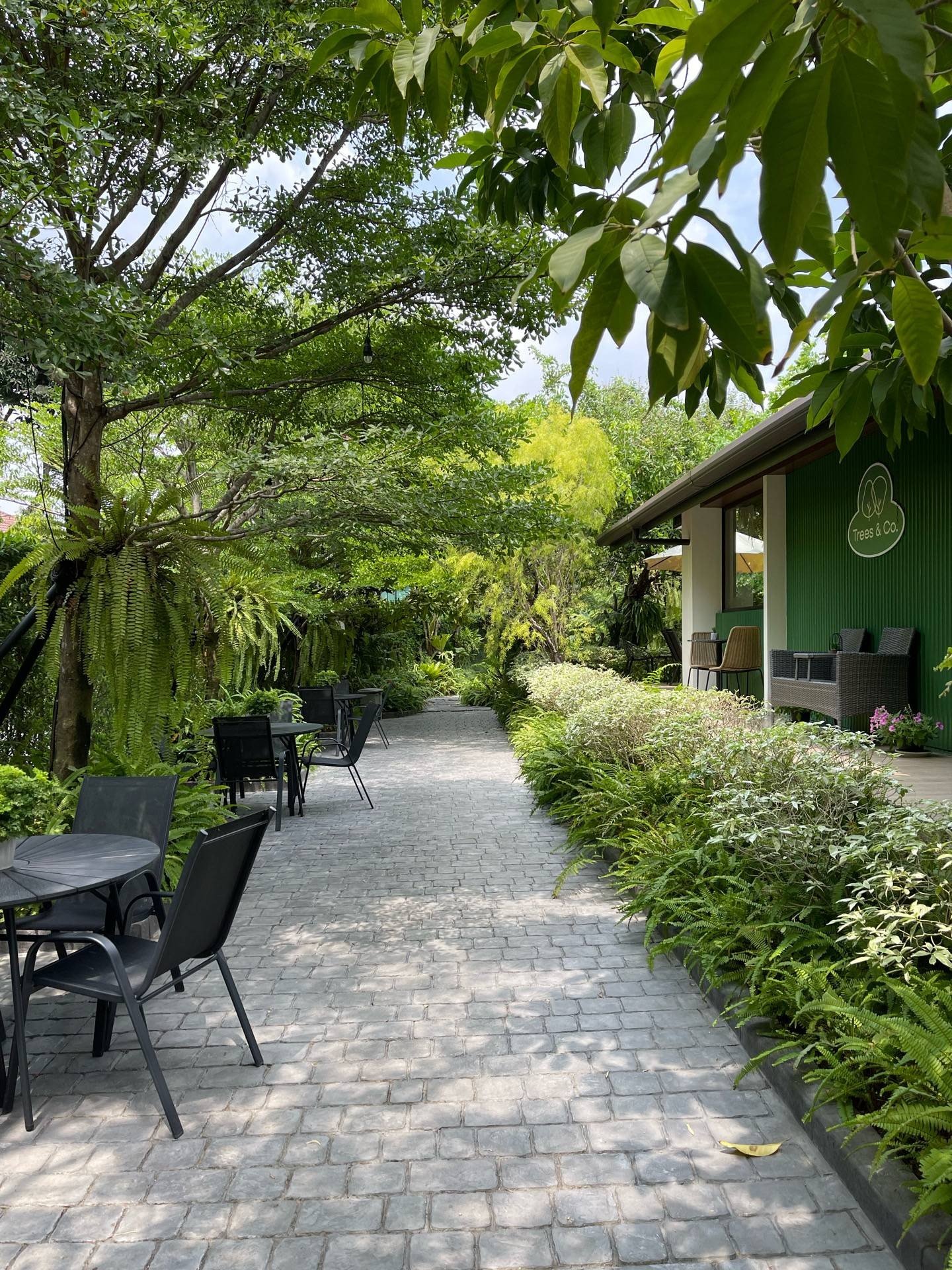 รีวิว The Tall Trees Cafe and Bistro - ร้านอาหารในสวนสวย