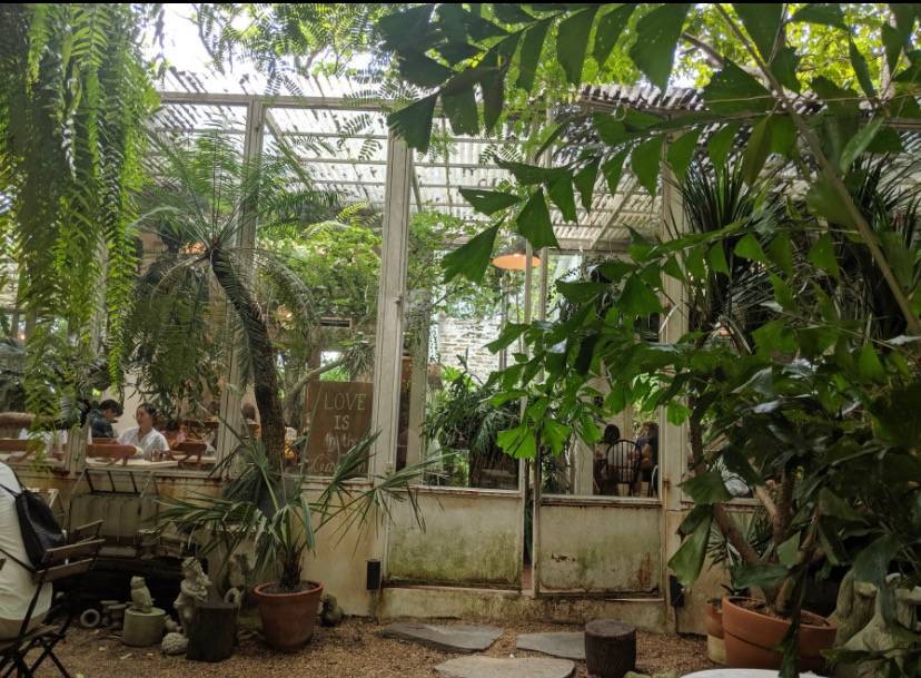รีวิว Little Tree Garden บ้านใหม่ - Little Tree Garden Cafe