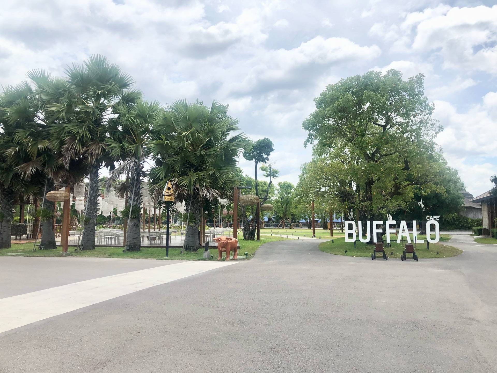 รีวิว The Buffalo Cafe' - " The Buffalo Cafe' ” คาเฟ่ริมน้ำบรรยากาศดี ...