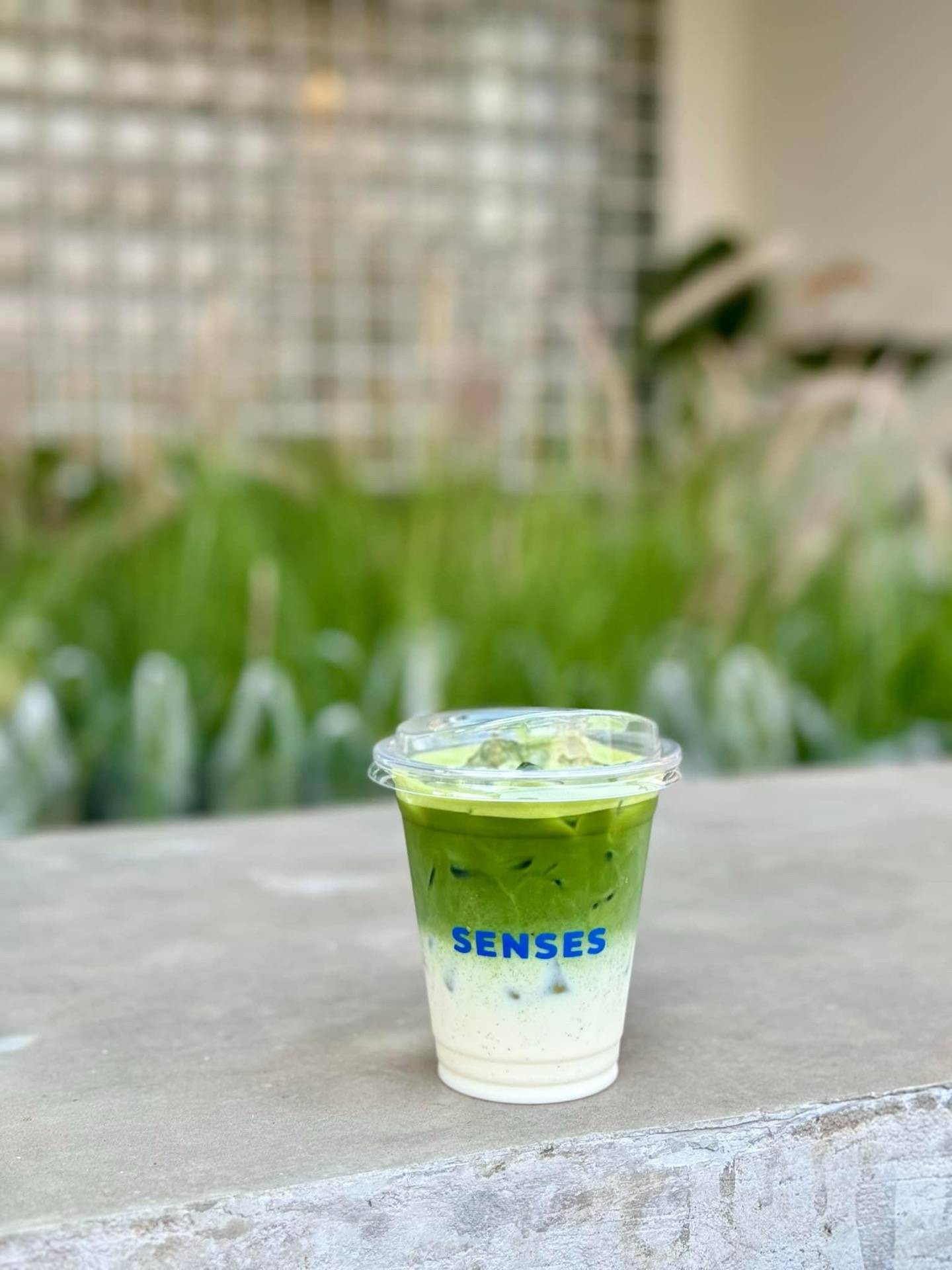 รีวิว Senses Cafe - ถูกปาก ถูกใจ อร่อยมาก