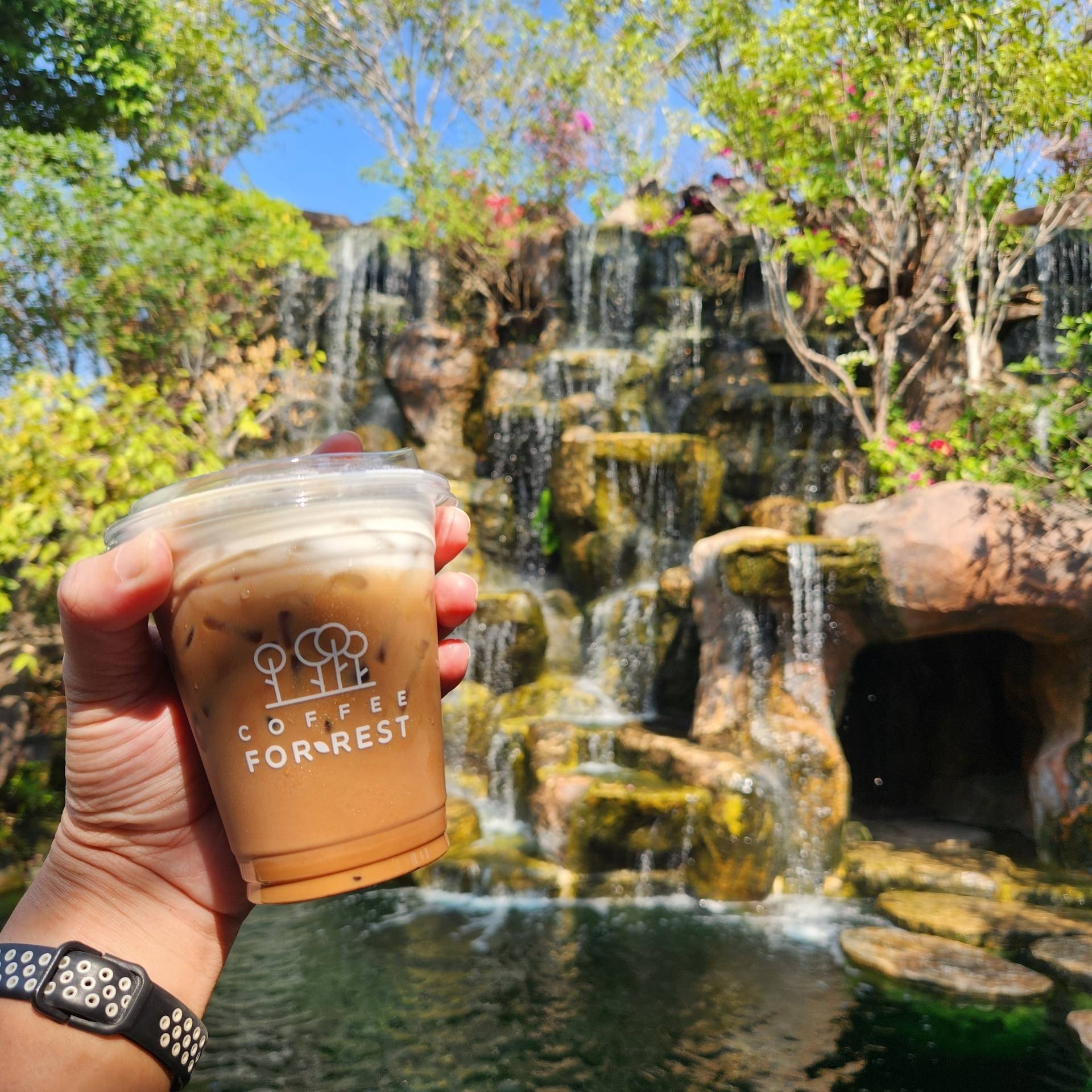 รีวิว Coffee for rest - คาเฟ่เสียงน้ำตก