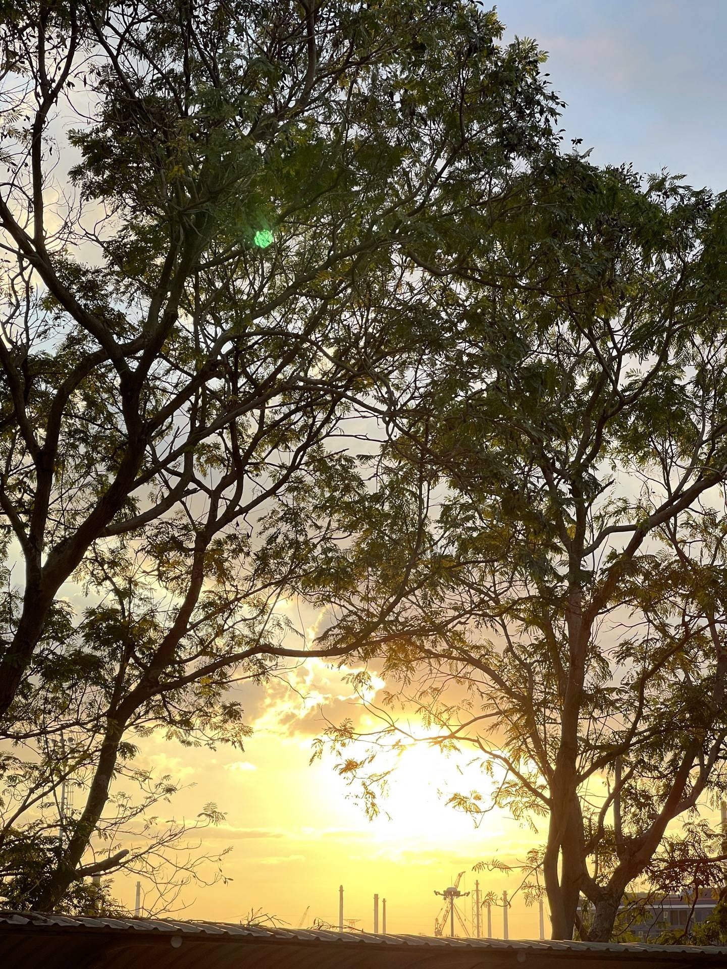 รูป ตลาดนัด ม. เกษตร ศรีราชา