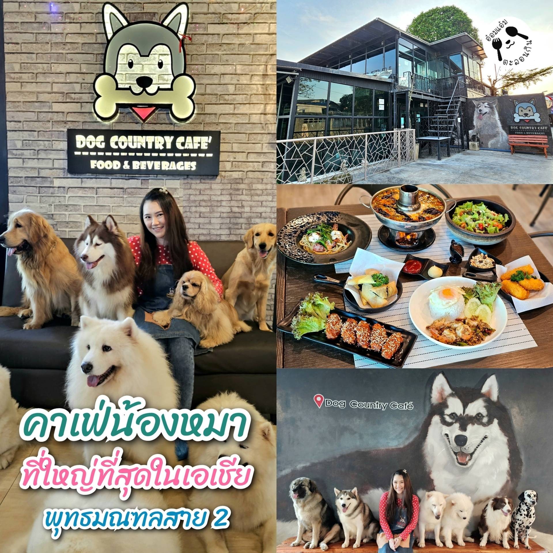 รีวิว Dog Country Cafe พุทธมณฑลสาย2 - คาเฟ่น้องหมาใหญ่ที่สุดในเอเชีย