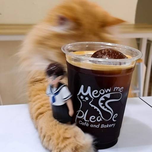 ร้าน Meow Me Please Cafe | รีวิวร้านอาหาร