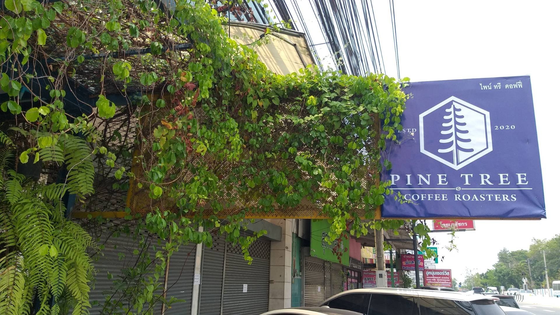 รีวิว Pine Tree Coffee Roasters - กาแฟดีมุมถ่ายรูปเยอะ