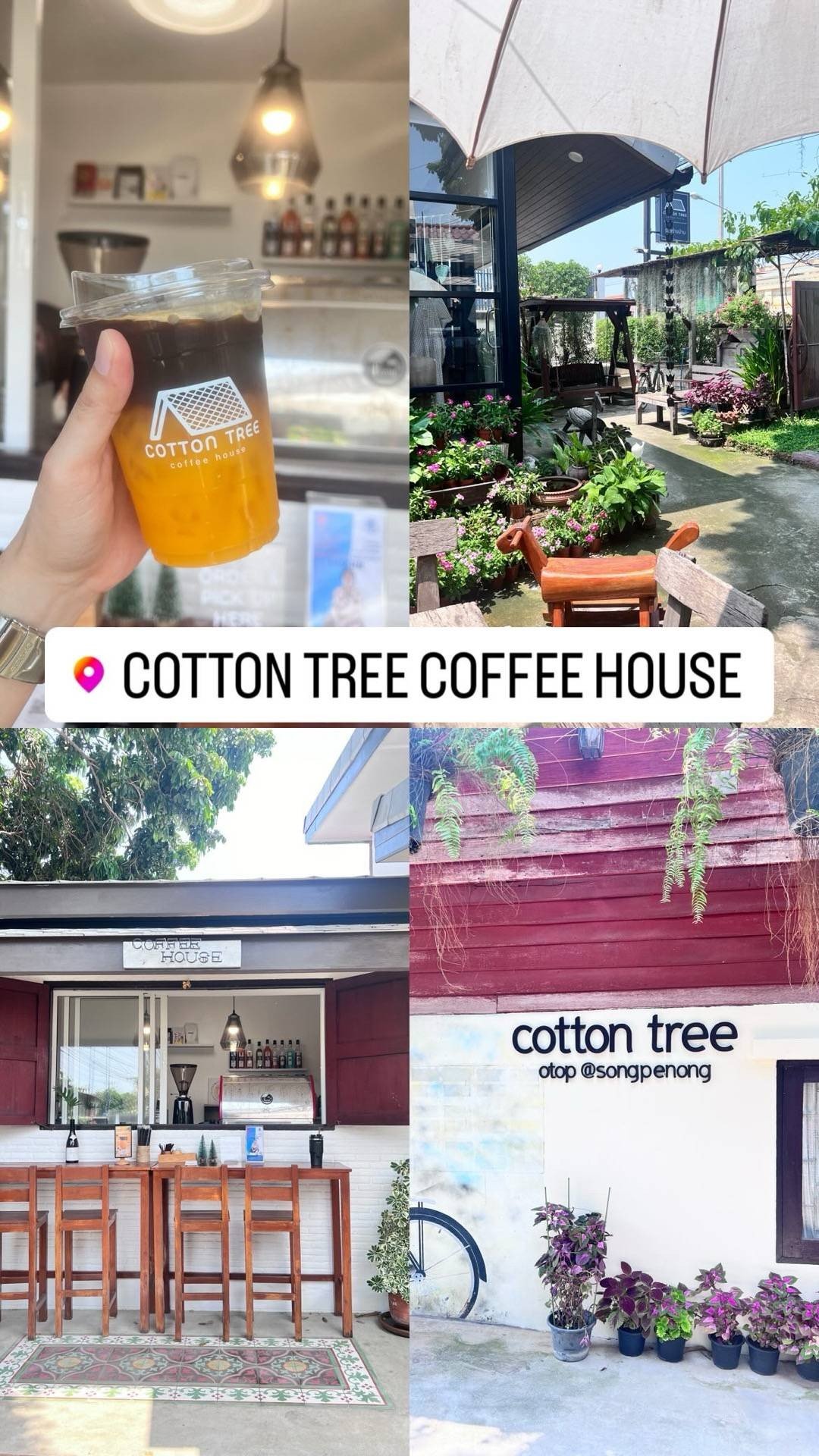 รีวิว Cotton Tree Coffee House - - ร้านกาแฟเล็กๆสไตล์น่ารักราคาเป็นมิตร ...