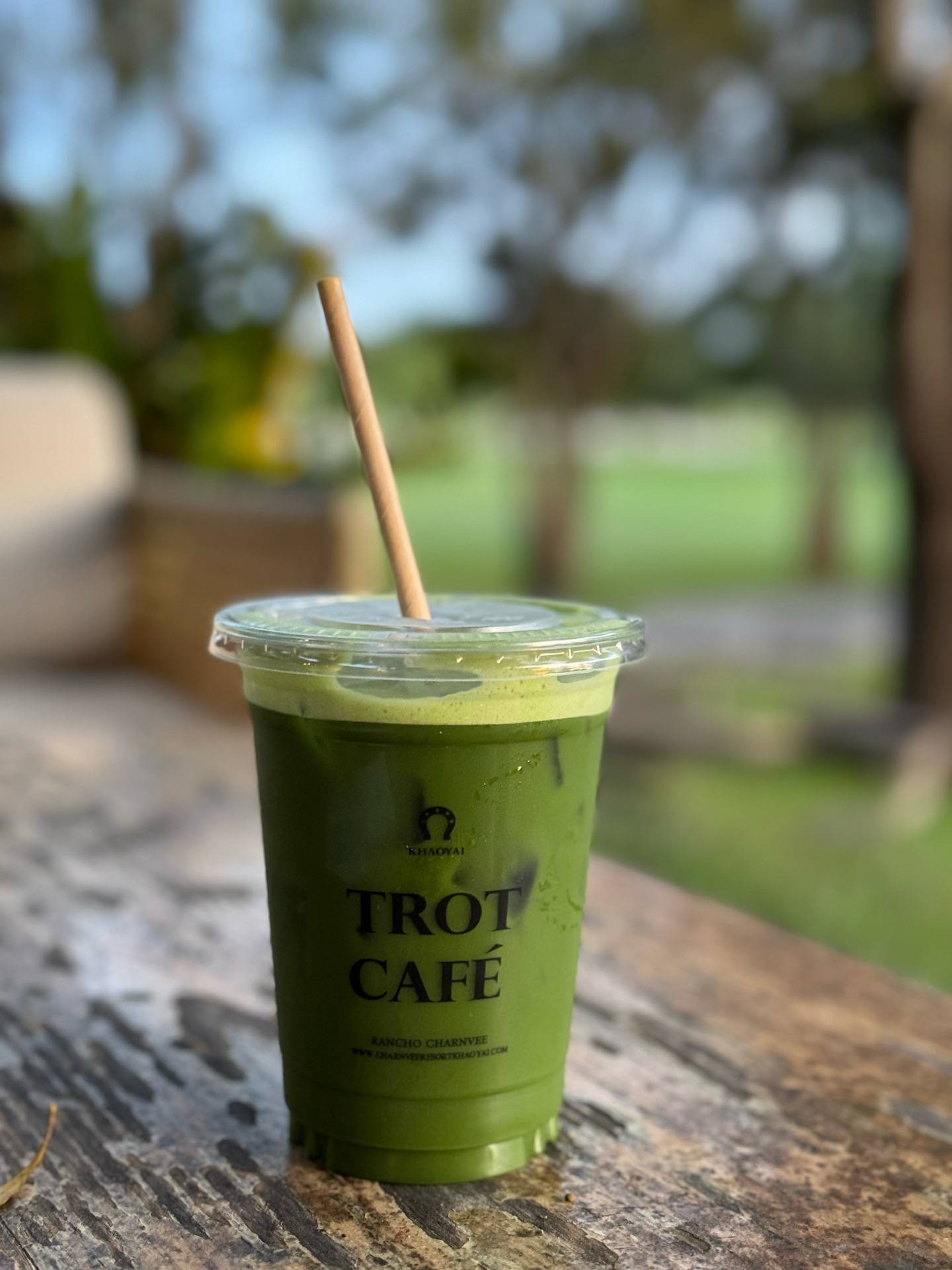 รีวิว Trot Cafe,Khaoyai - Good vibe cafe