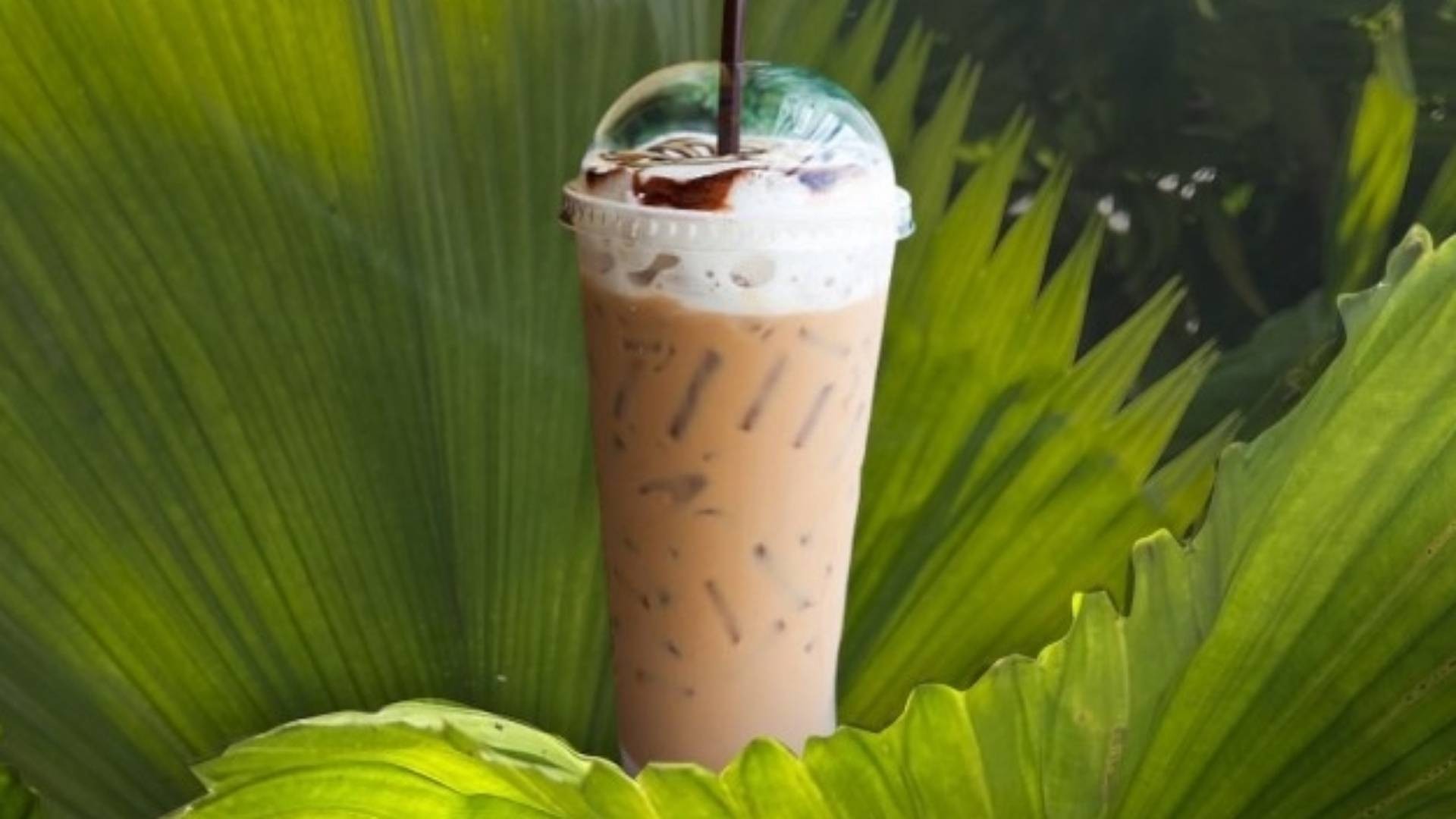 154 Arm Coffee - สั่งอาหารเดลิเวอรี | Wongnai x LINE MAN