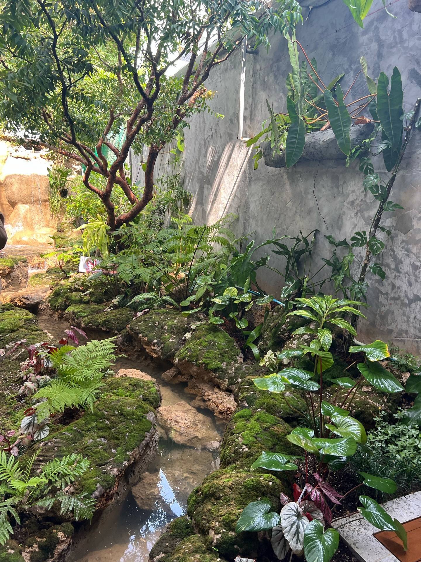 รูป Ken Phu Pang