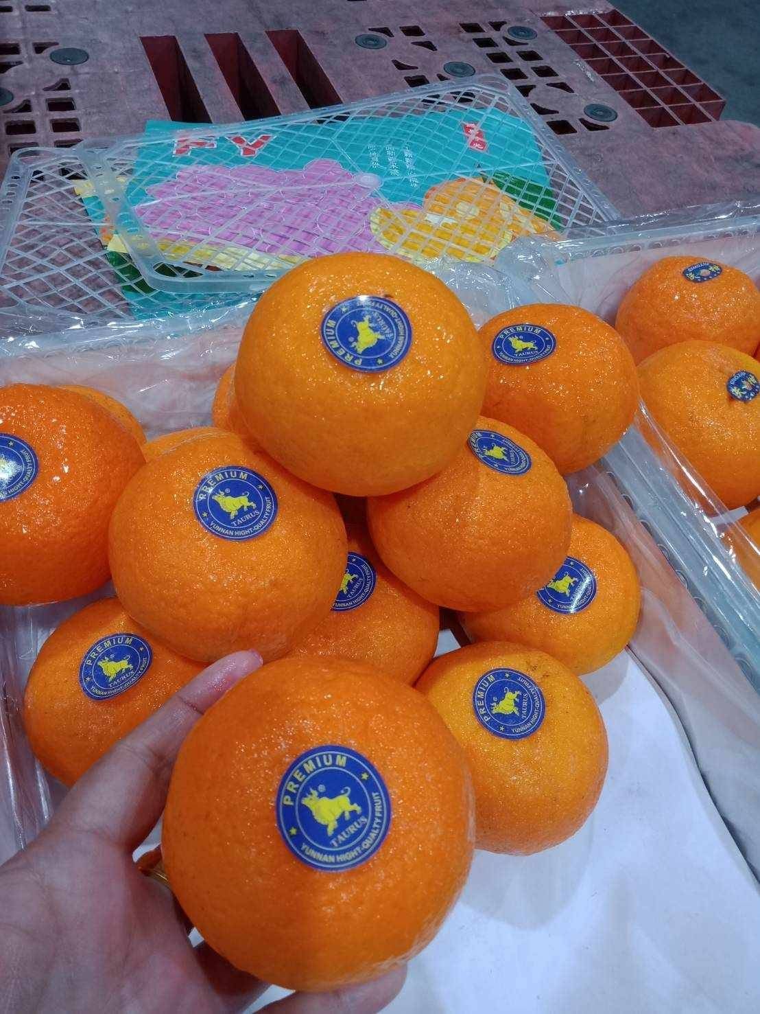 ร้าน Jidapa Fresh Fruit