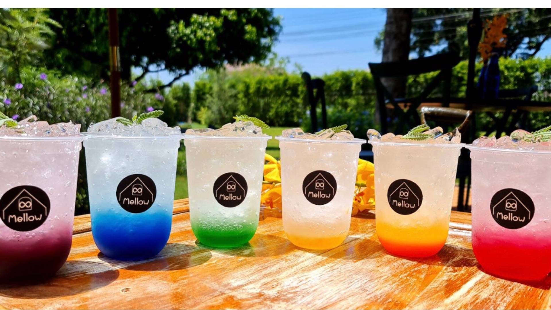 Mellow House Pakchong - สั่งอาหารเดลิเวอรี | Wongnai x LINE MAN