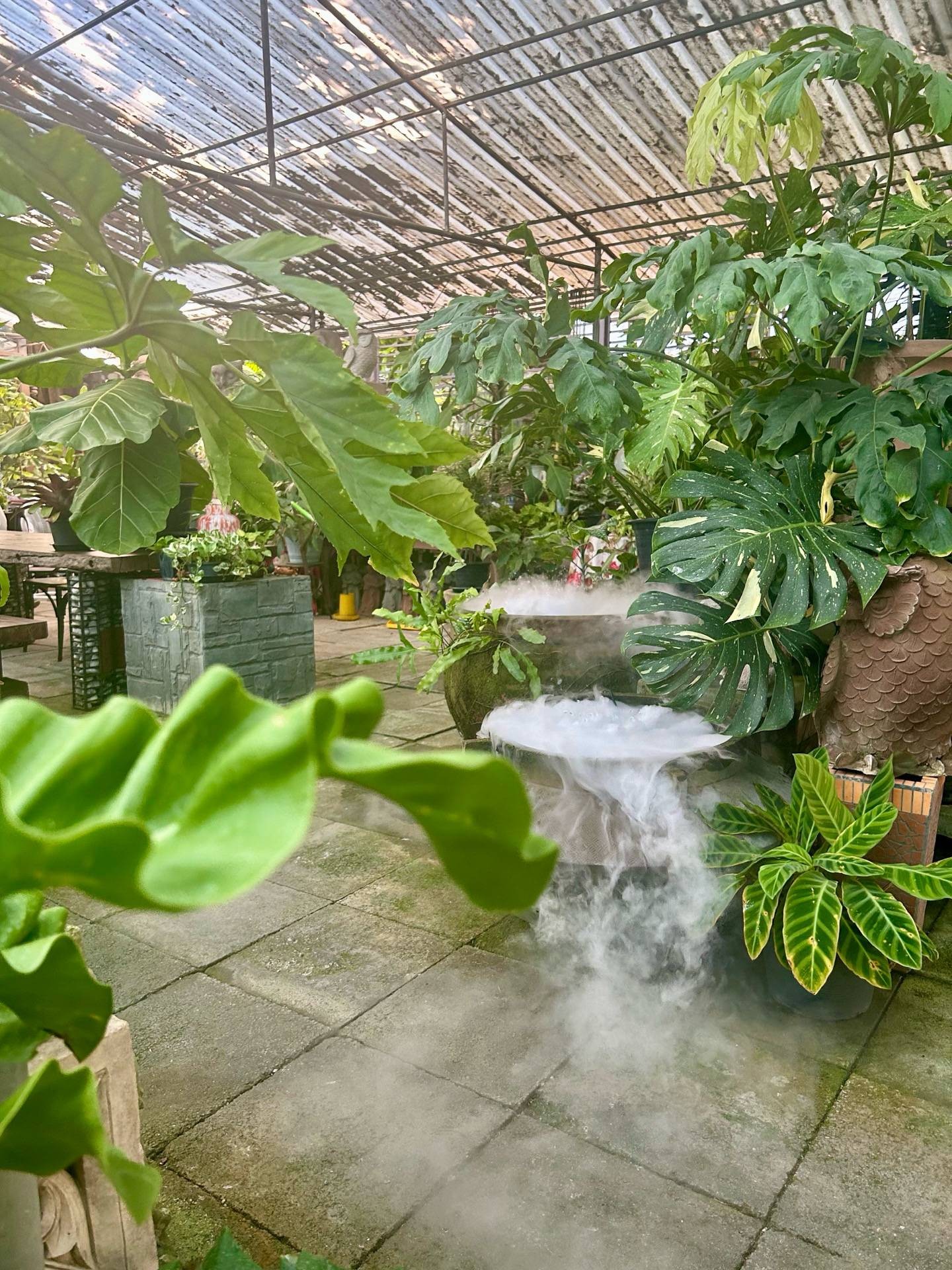 รูป บ้านก้ามปู Bankampu Tropical Cafe