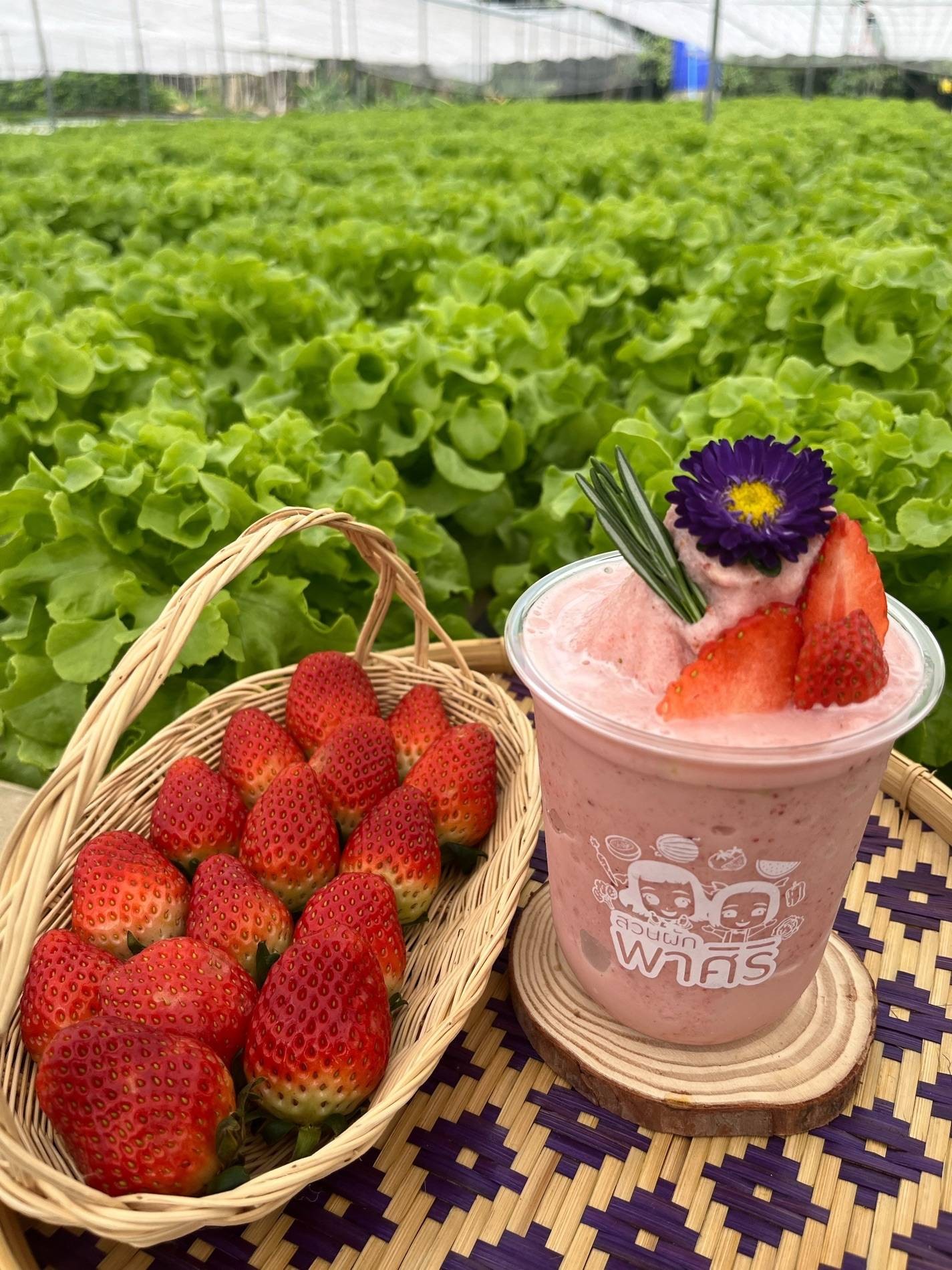 สวนผักพาศิริ | สั่งอาหารออนไลน์ล่วงหน้า รับที่ร้านผ่านแอป Wongnai ...