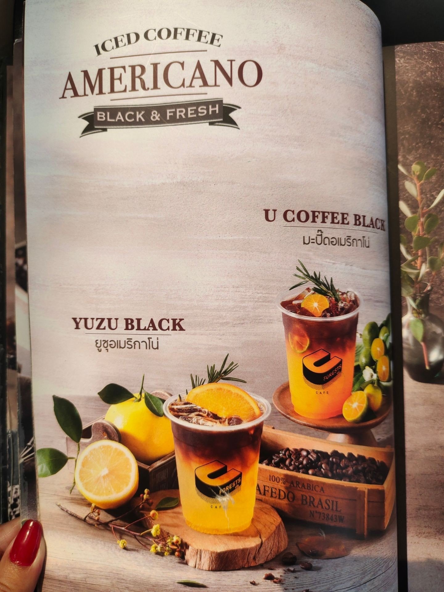 รูป U Forests cafe ระยอง