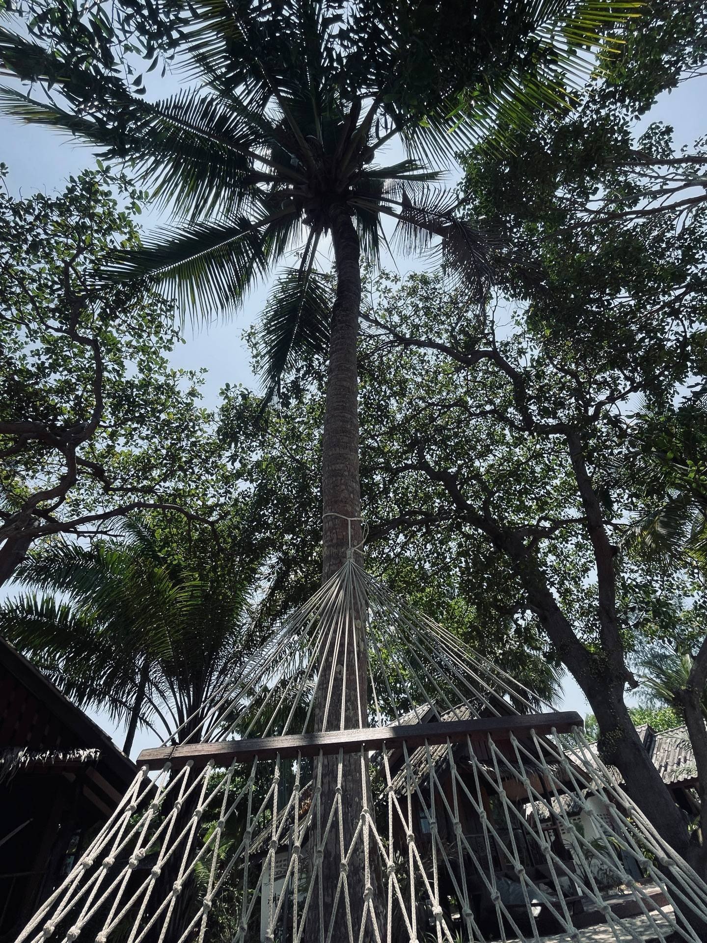 Sabai Sabai Beach Bangalow - รีวิวที่พัก