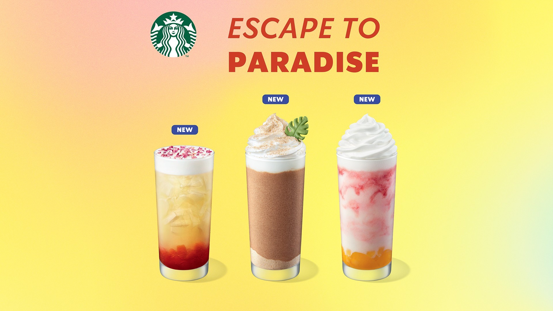 ร้าน Starbucks Market Place Pattaya | รีวิวร้านอาหาร