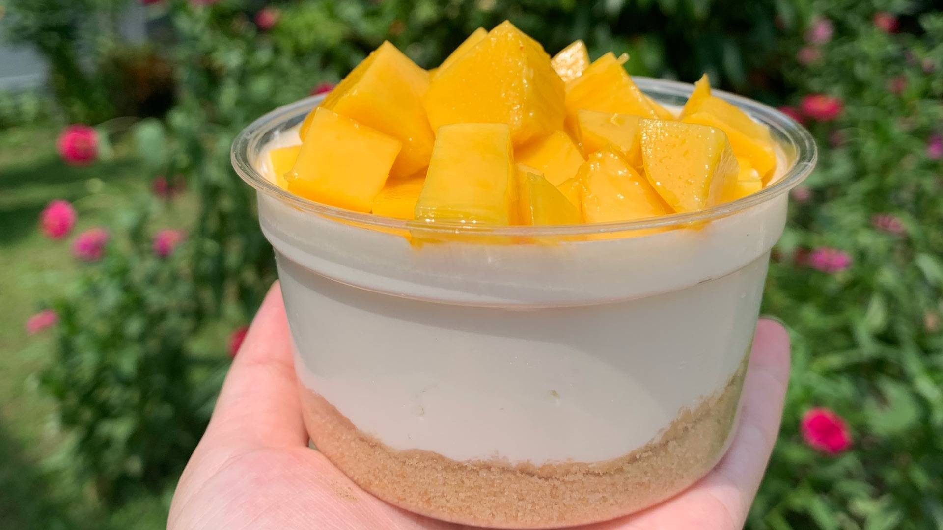 Fancy Greek yogurt กรีกโยเกิร์ตกับผลไม้ - สั่งอาหารเดลิเวอรี | Wongnai ...