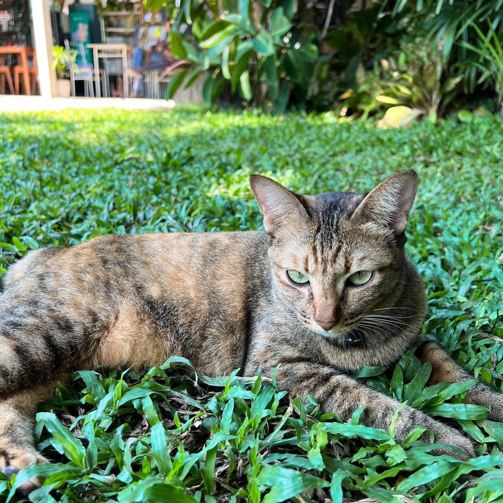 รีวิว Potta - Potta Potta