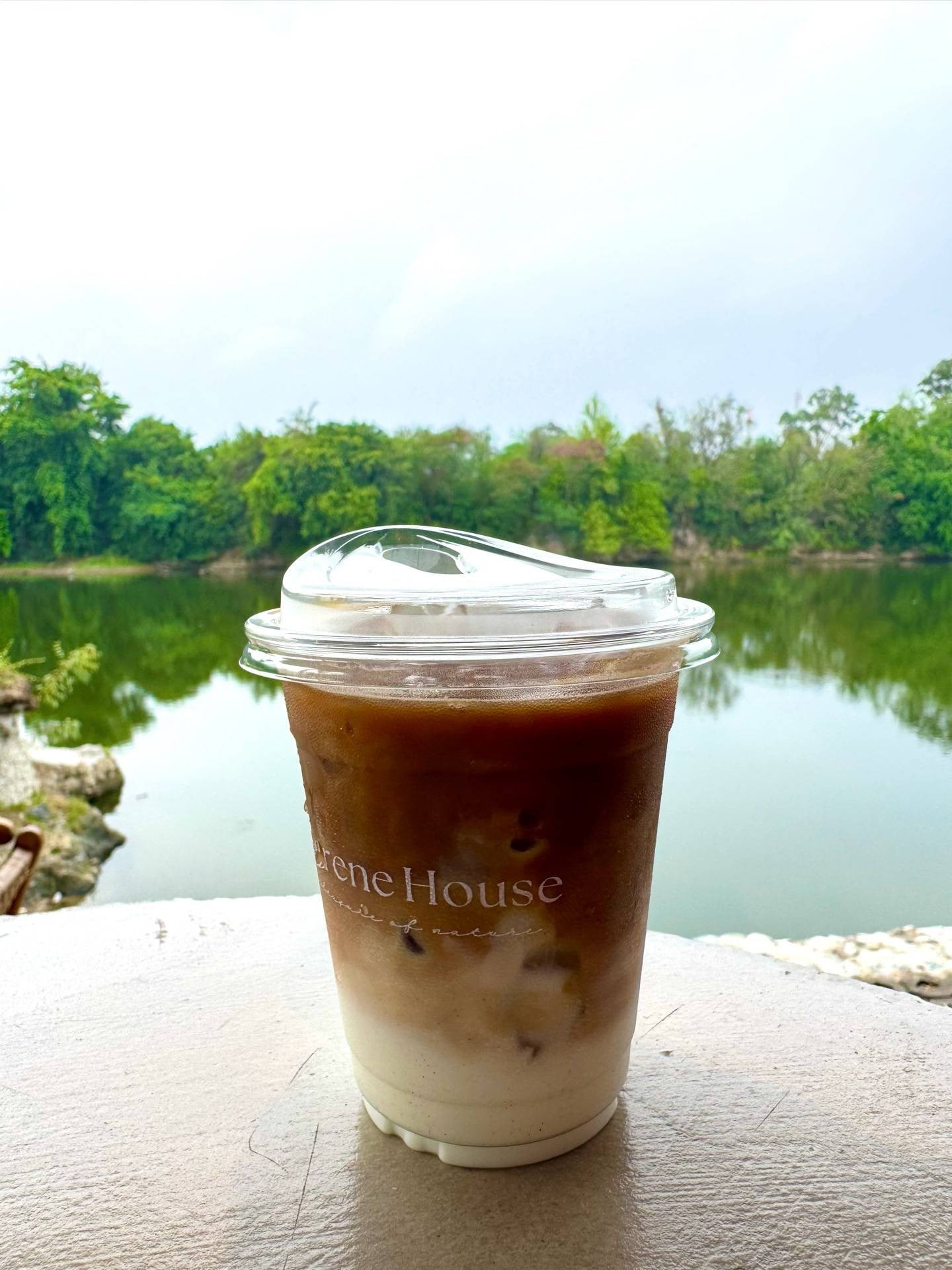 รีวิว Serene House Cafe - คาเฟ่วิวสวยมาก มุมถ่ายรูปเพียบ เครื่องดื่มดี ...