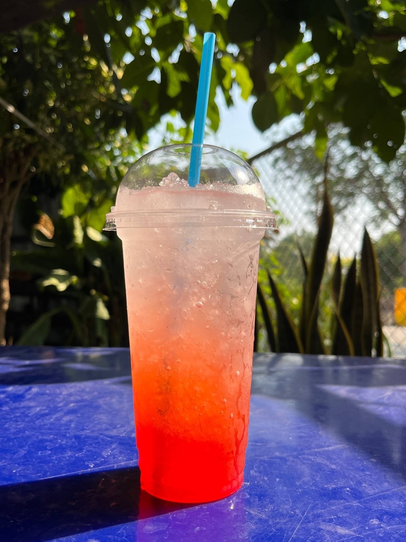 ร้าน Yummy Monster | รีวิวร้านอาหาร