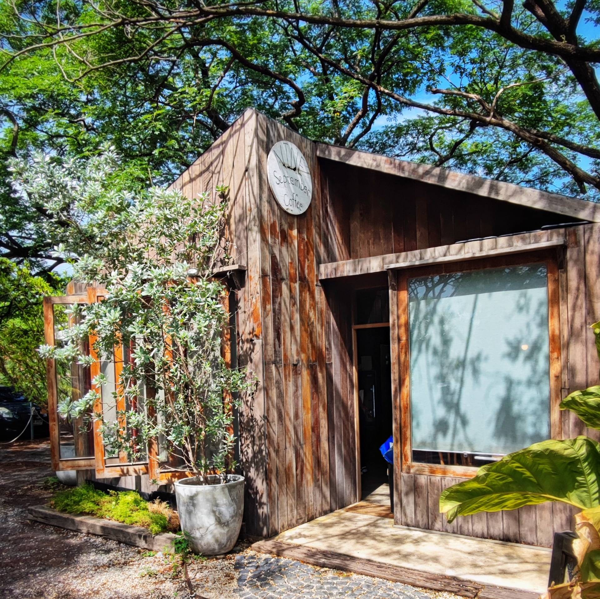 รีวิว 9th September Eat Drink Tree - ร้านกาแฟ น่านั่งในสระบุรี