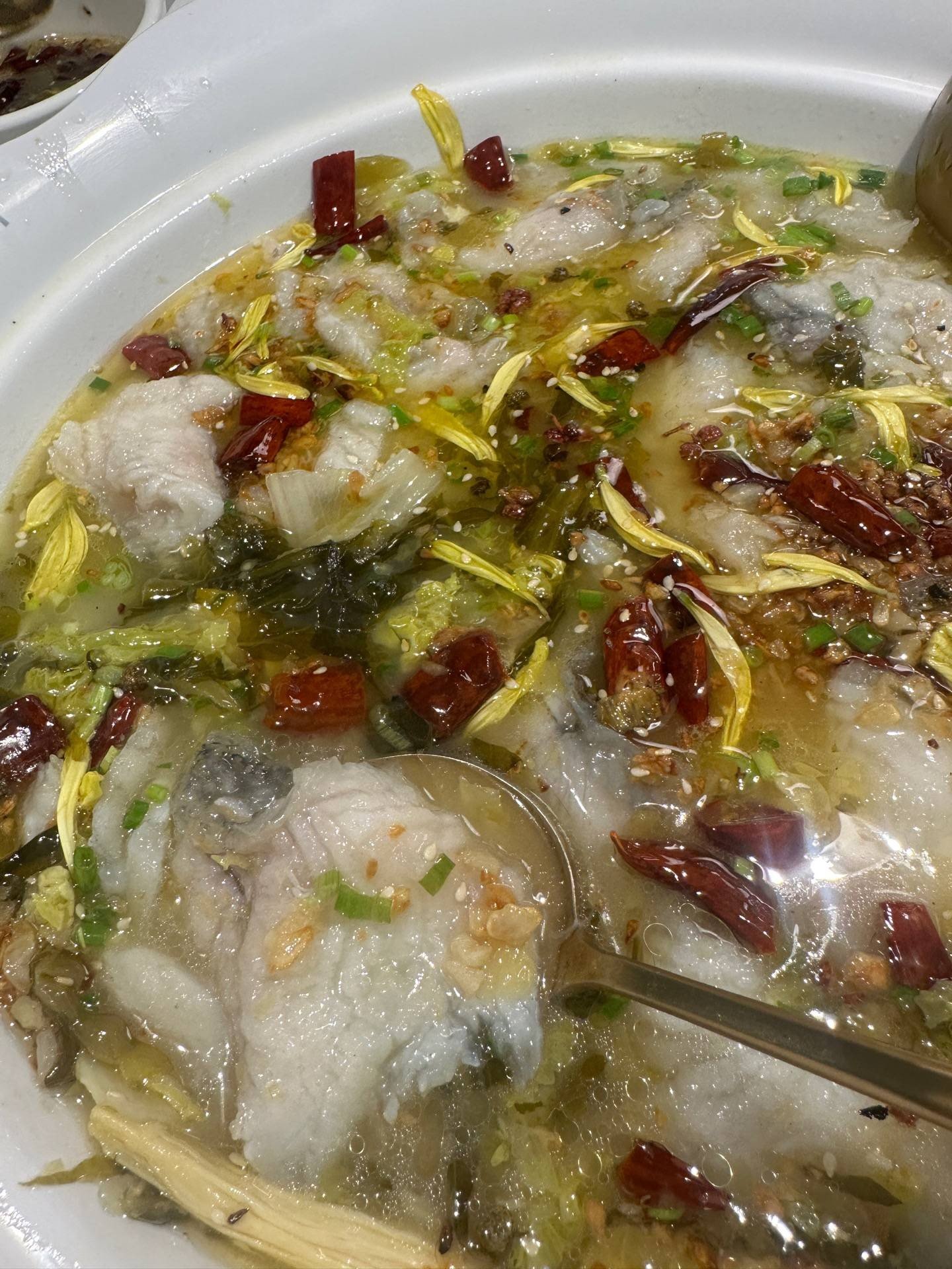 รูป LT Fish Central Westgate