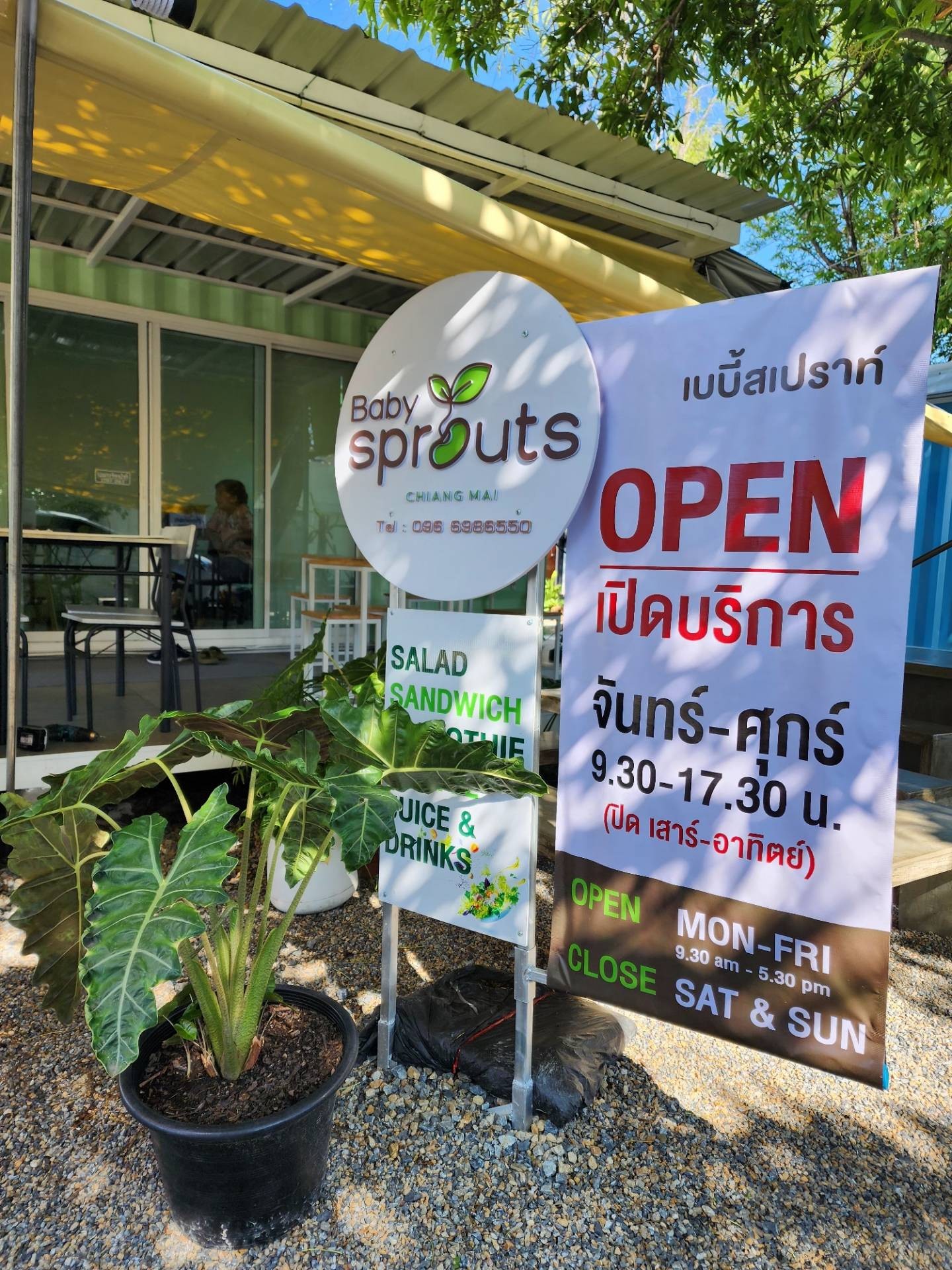 รีวิว Baby Sprouts (เบบี้สเปราท์) สาขาเจ็ดยอด ซอยบ้านแพะ - Baby Sprouts ...